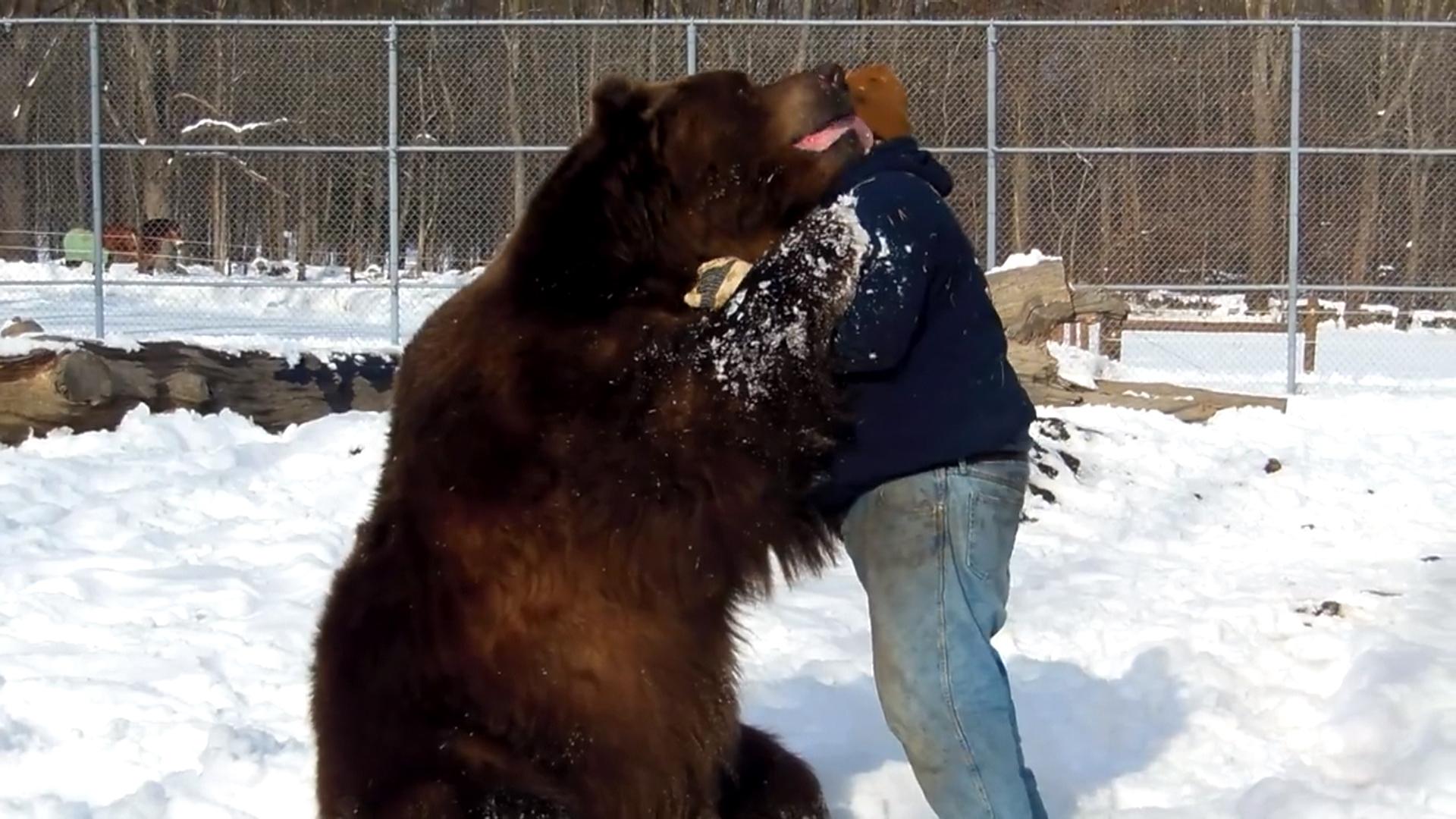 Bears Hugging Wallpapers - Top Free Bears Hugging Backgrounds ...
