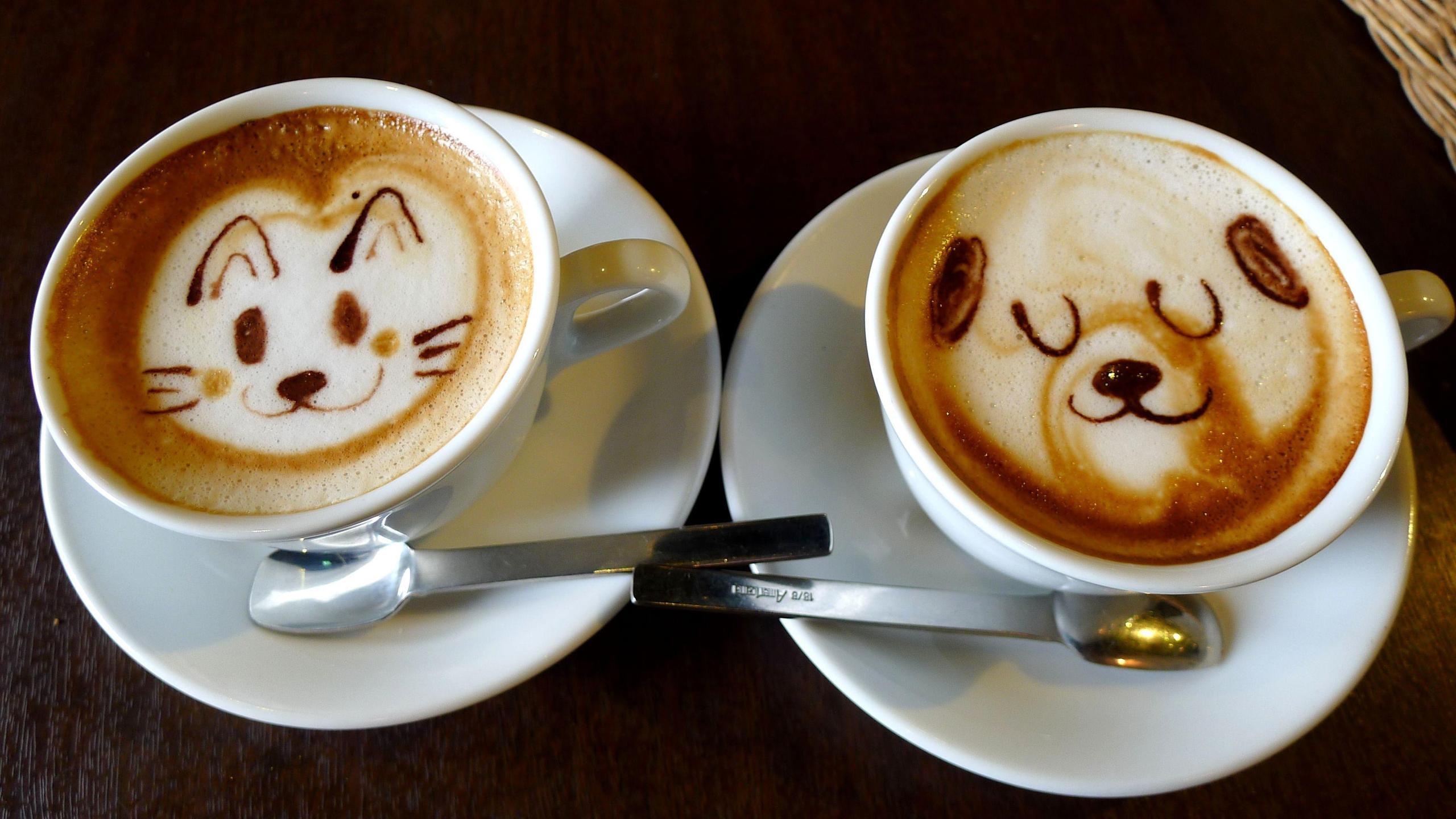 Funny Coffee Wallpapers - Top Free Funny Coffee Backgrounds ...