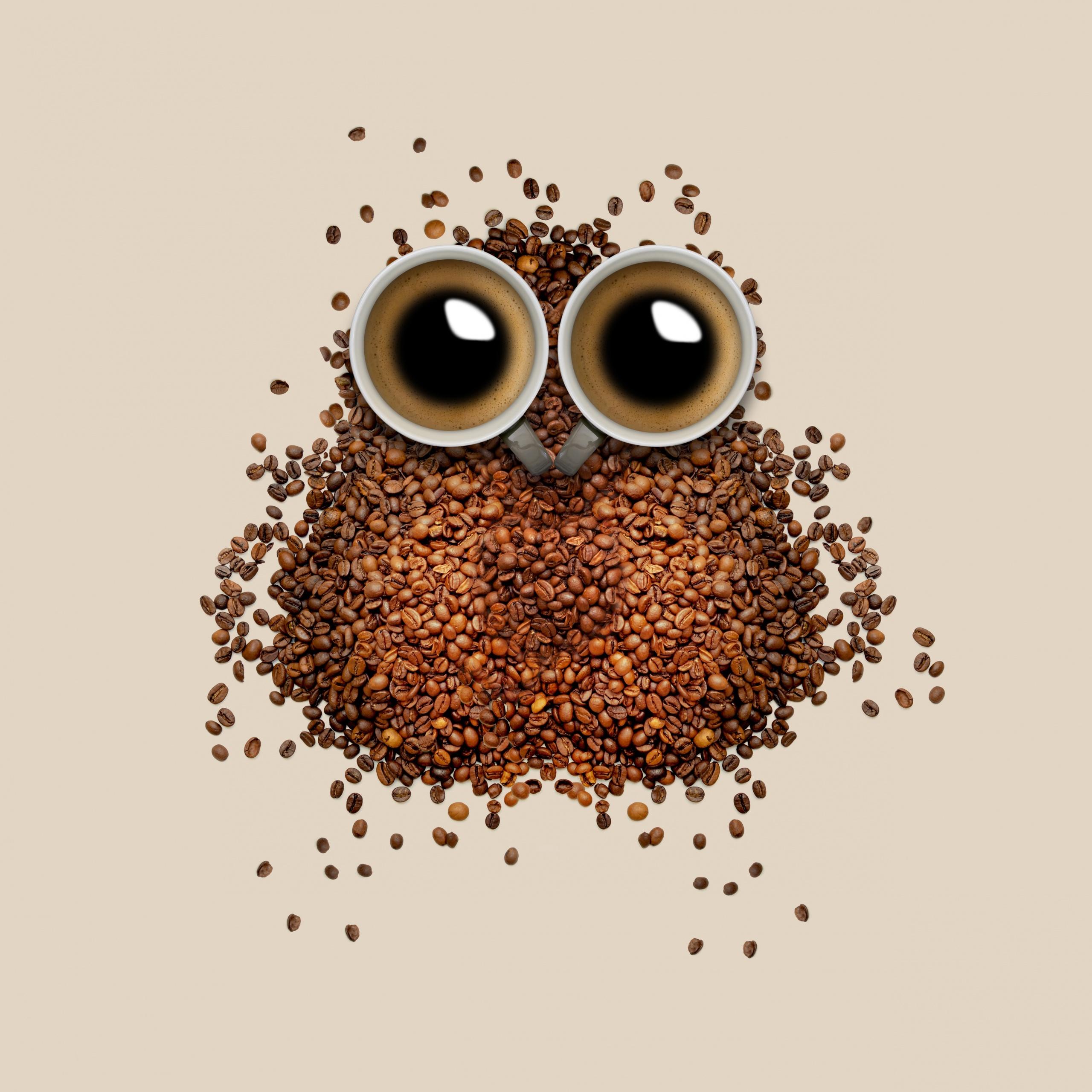Funny Coffee Wallpapers - Top Free Funny Coffee Backgrounds ...