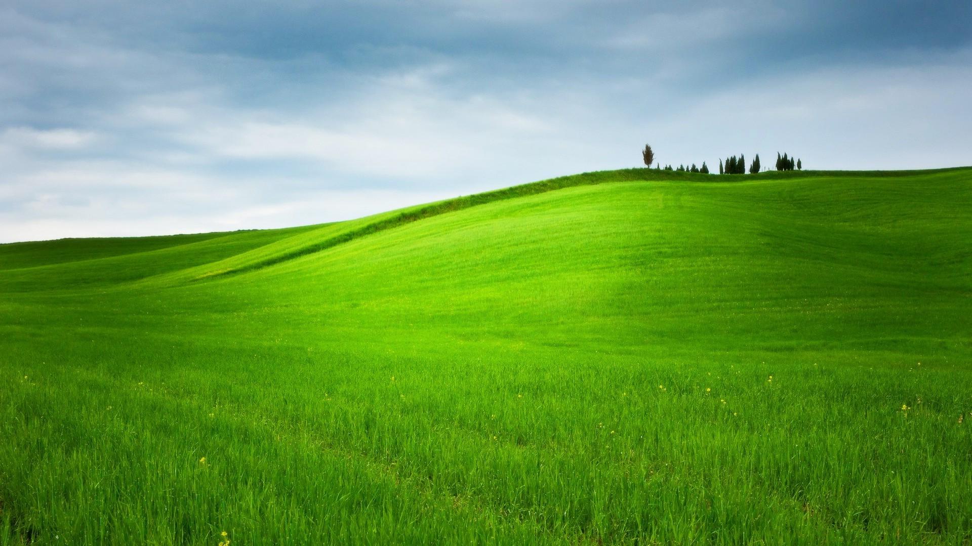 Natural Grass Wallpapers - Top Free Natural Grass Backgrounds ...