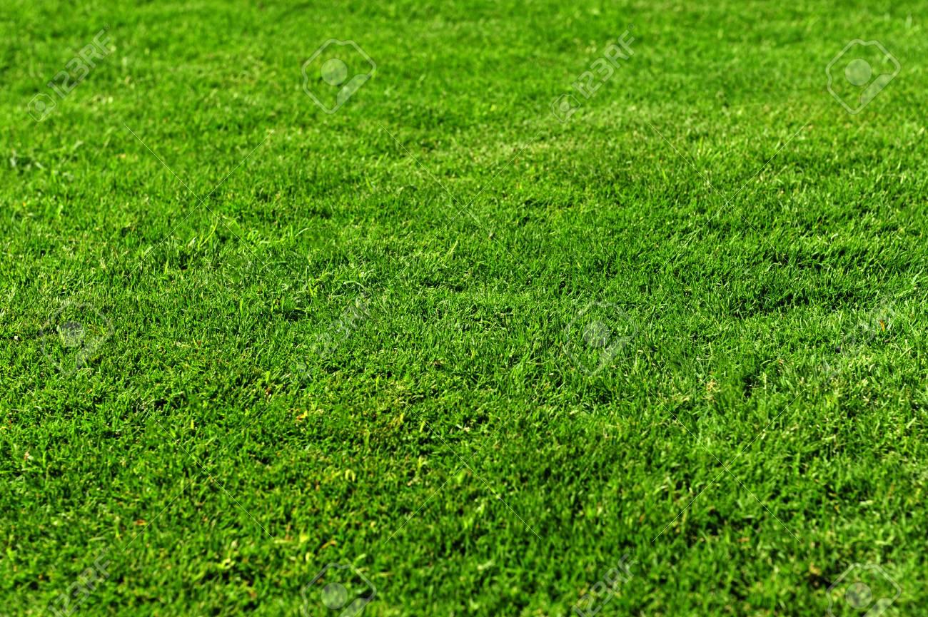 Natural Grass Wallpapers - Top Free Natural Grass Backgrounds ...