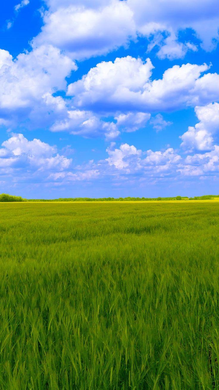 Natural Grass Wallpapers - Top Free Natural Grass Backgrounds ...