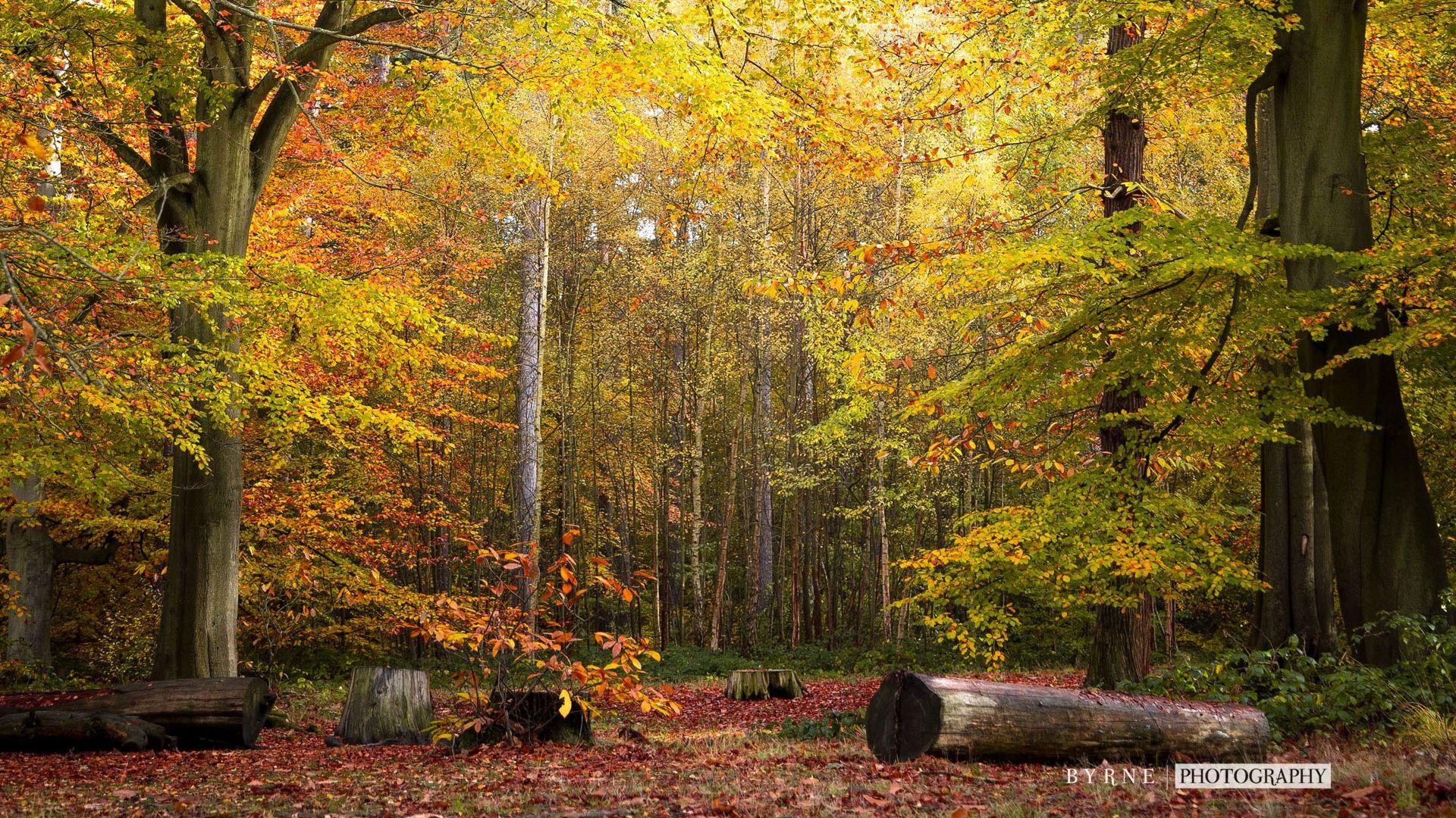 Beautiful Britain Wallpapers - Top Free Beautiful Britain Backgrounds ...