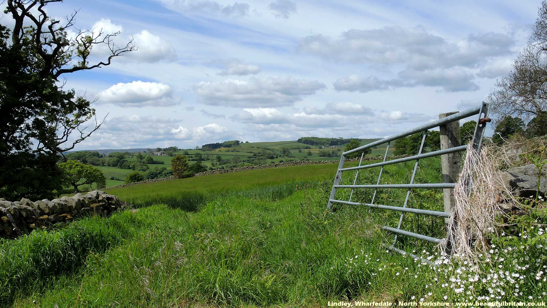 Yorkshire Wallpapers - Top Free Yorkshire Backgrounds - WallpaperAccess