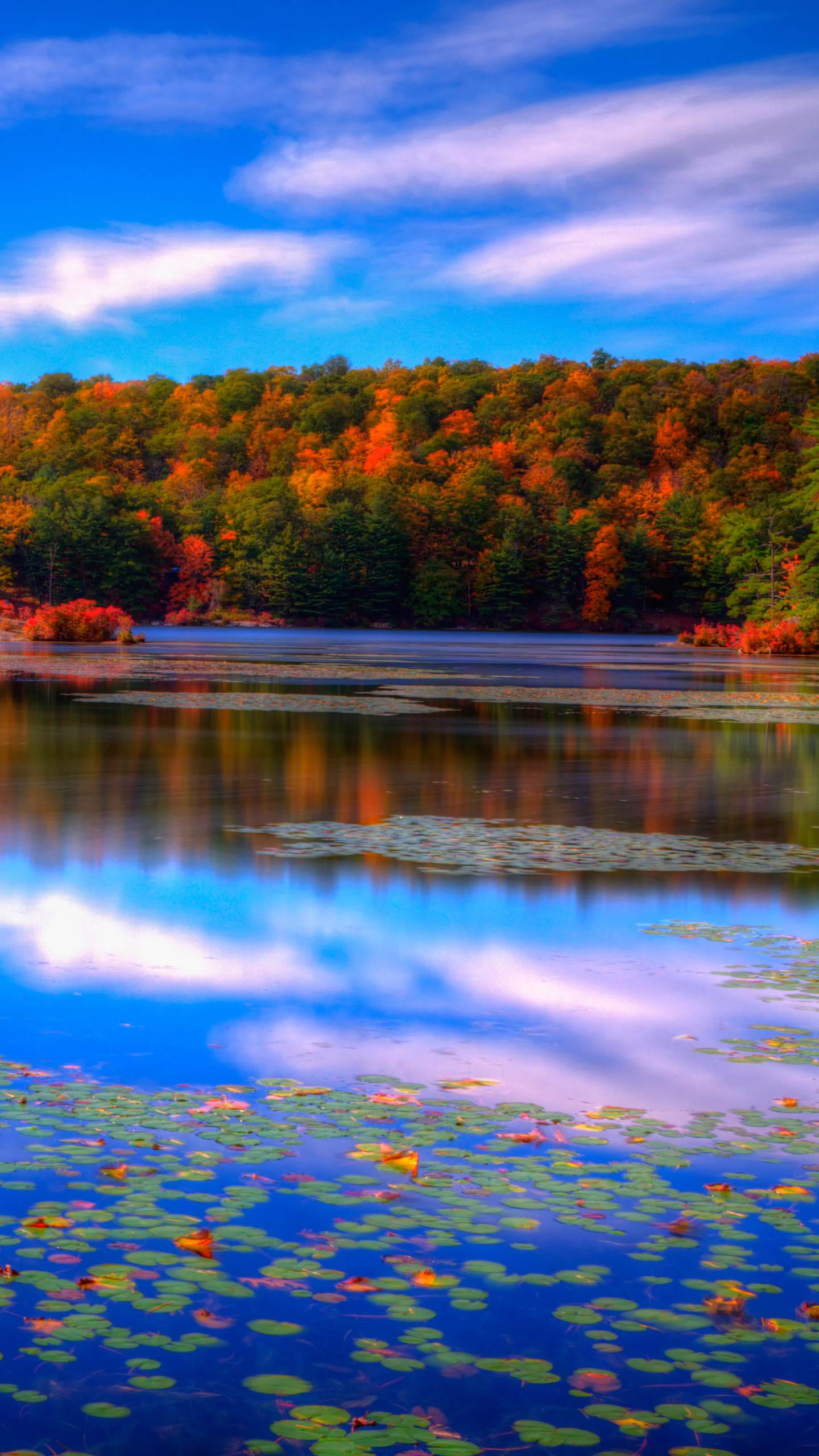 Huawei Magazine Unlock Wallpapers - Top Free Huawei Magazine Unlock ...