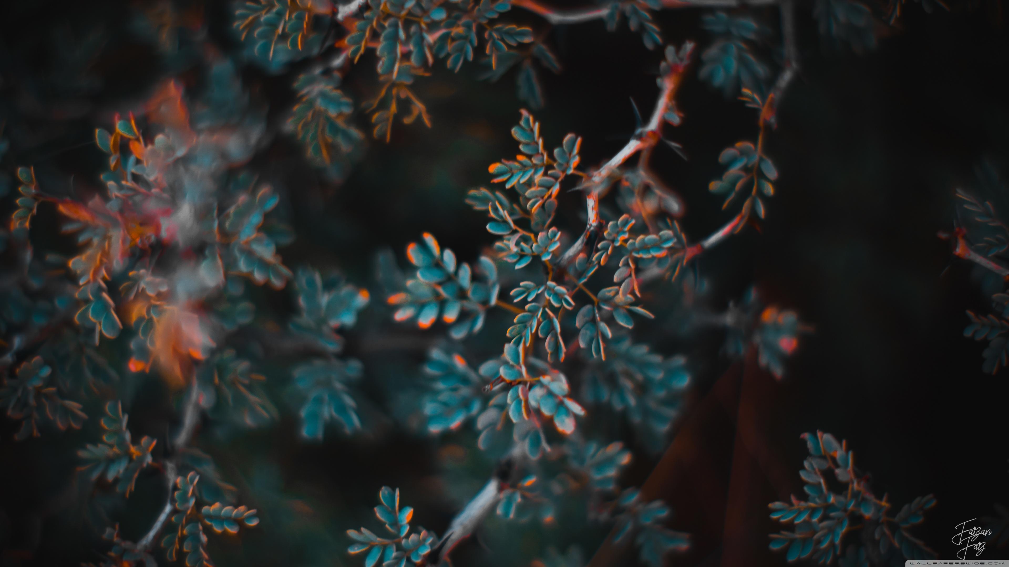 Teal 4K Wallpapers - Top Free Teal 4K Backgrounds - WallpaperAccess