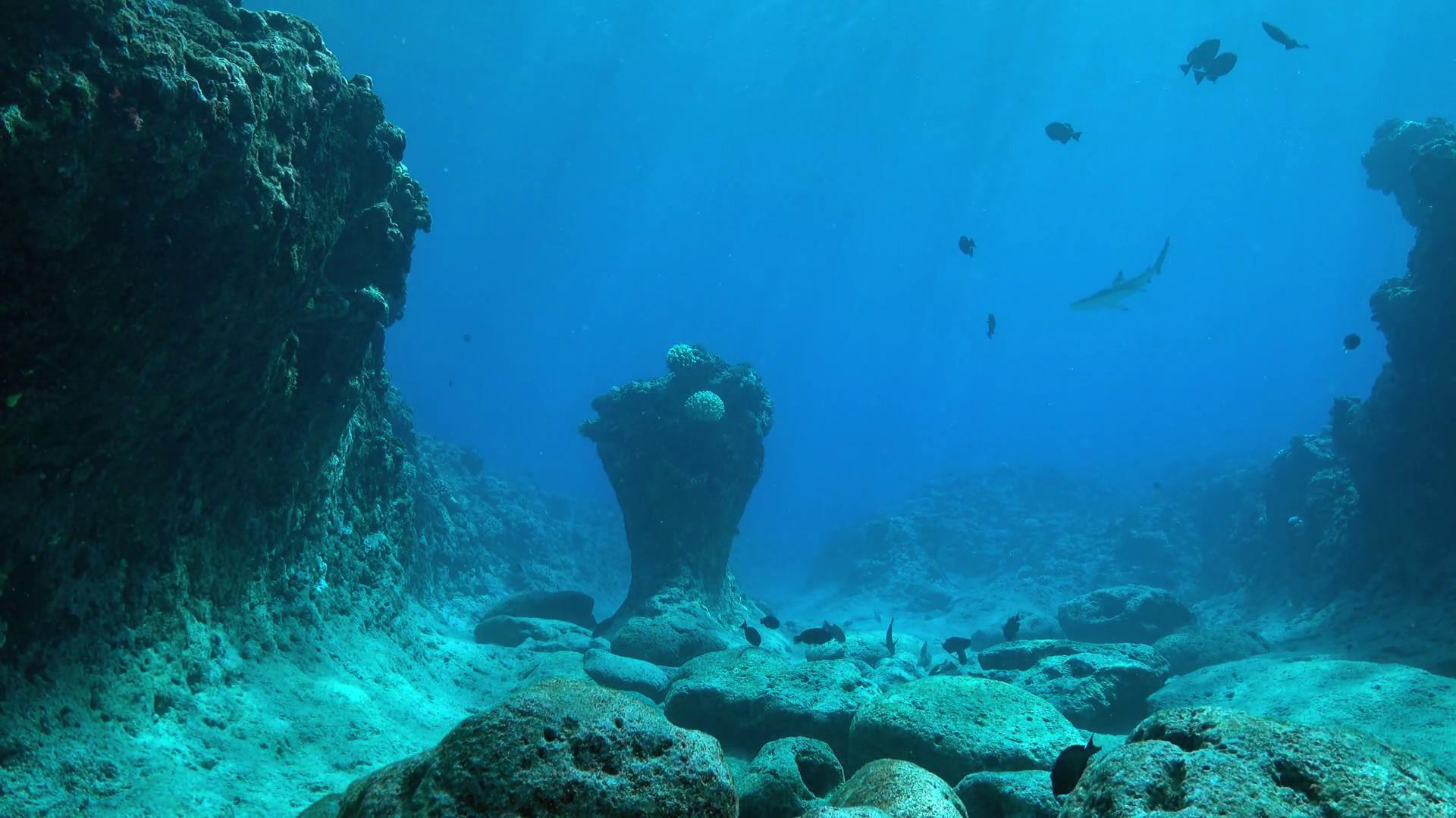 4K Ocean Floor Wallpapers - Top Free 4K Ocean Floor Backgrounds ...