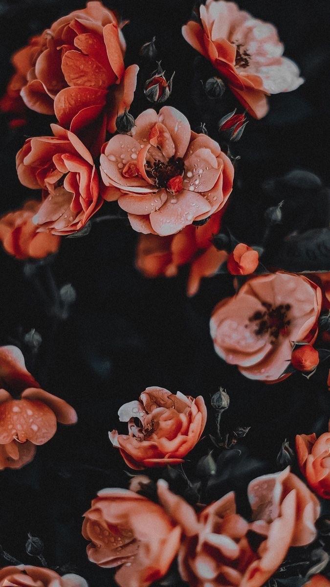 Grunge Flowers Wallpapers - Top Free Grunge Flowers Backgrounds ...