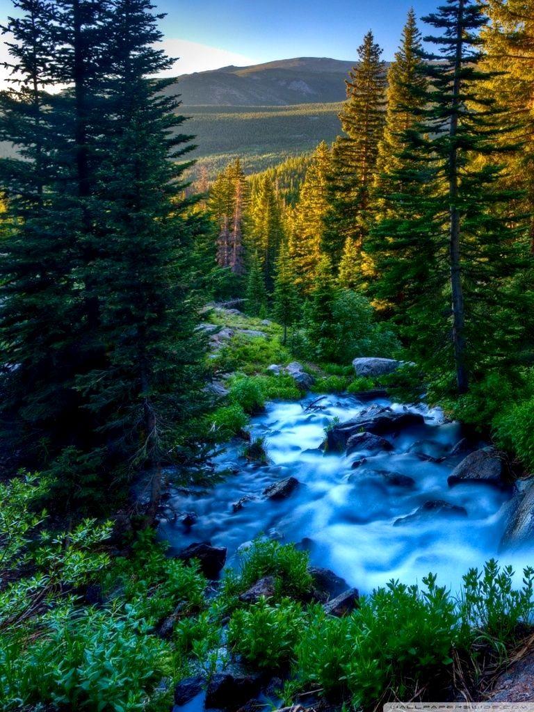 4k Nature Phone Wallpapers - Top Free 4k Nature Phone Backgrounds ...