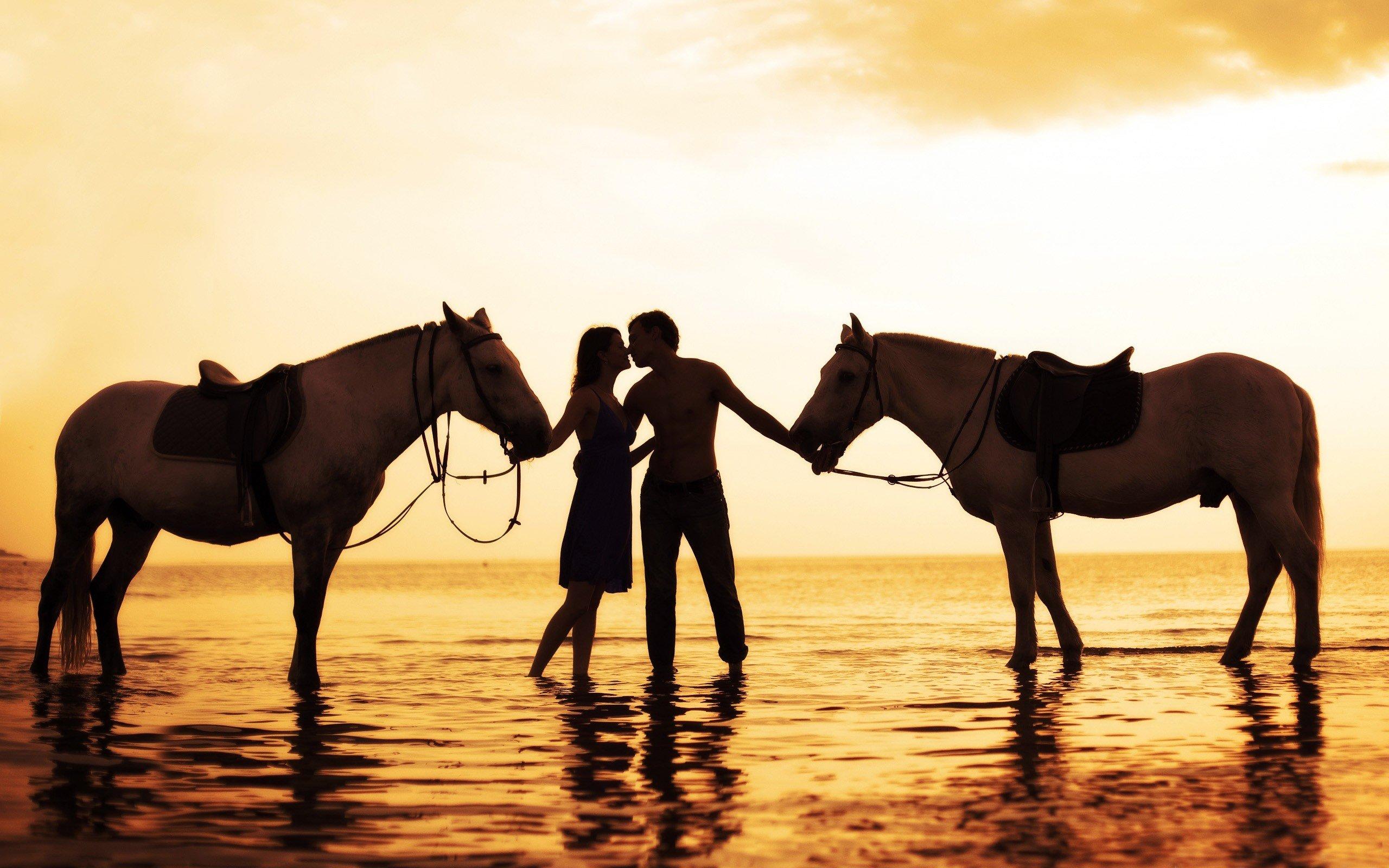 Horse Love Wallpapers - Top Free Horse Love Backgrounds - WallpaperAccess