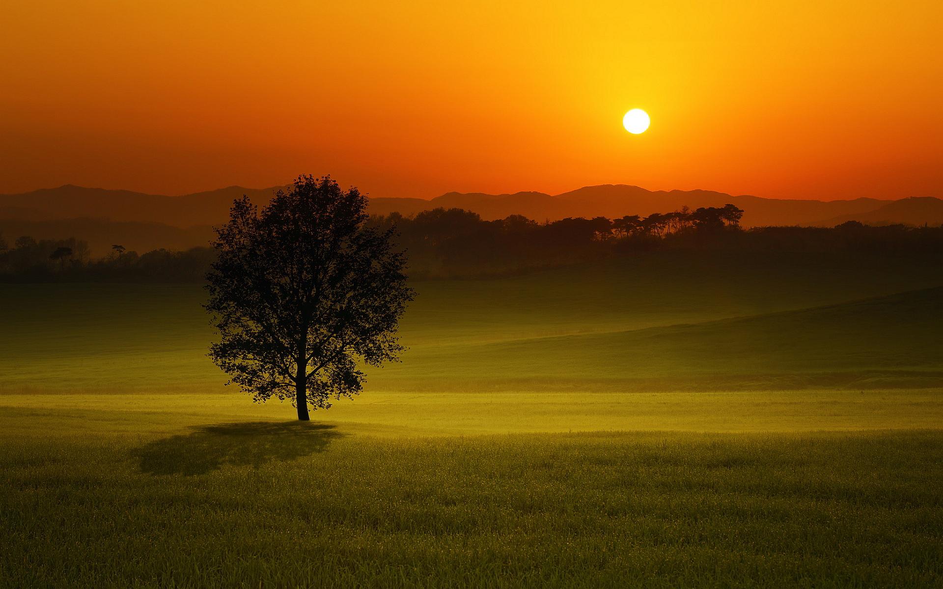 Evening Sunset Wallpapers - Top Free Evening Sunset Backgrounds ...