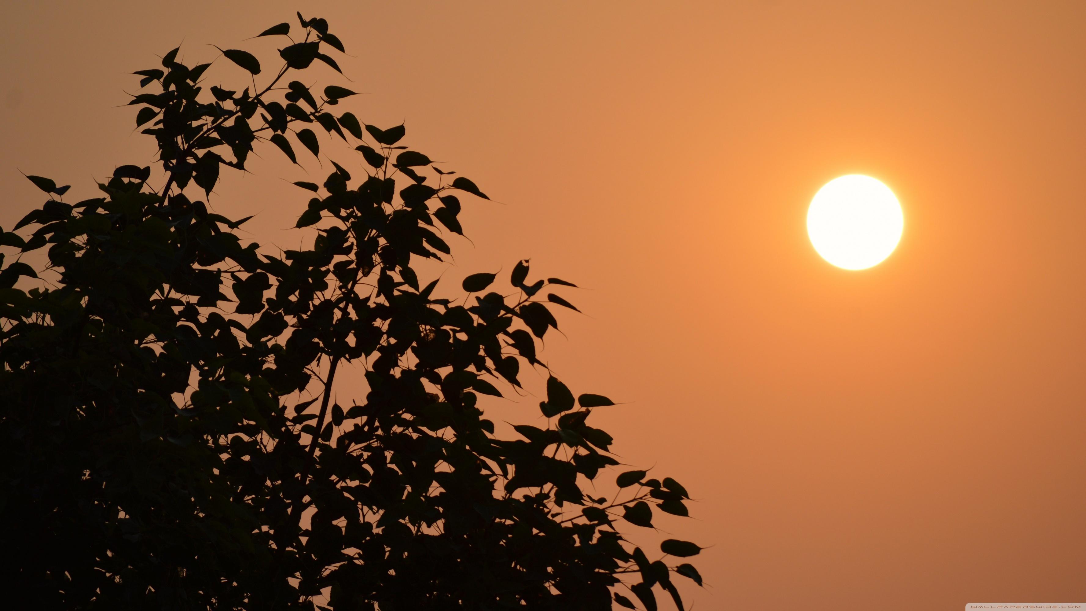 Evening Sunset Wallpapers - Top Free Evening Sunset Backgrounds ...