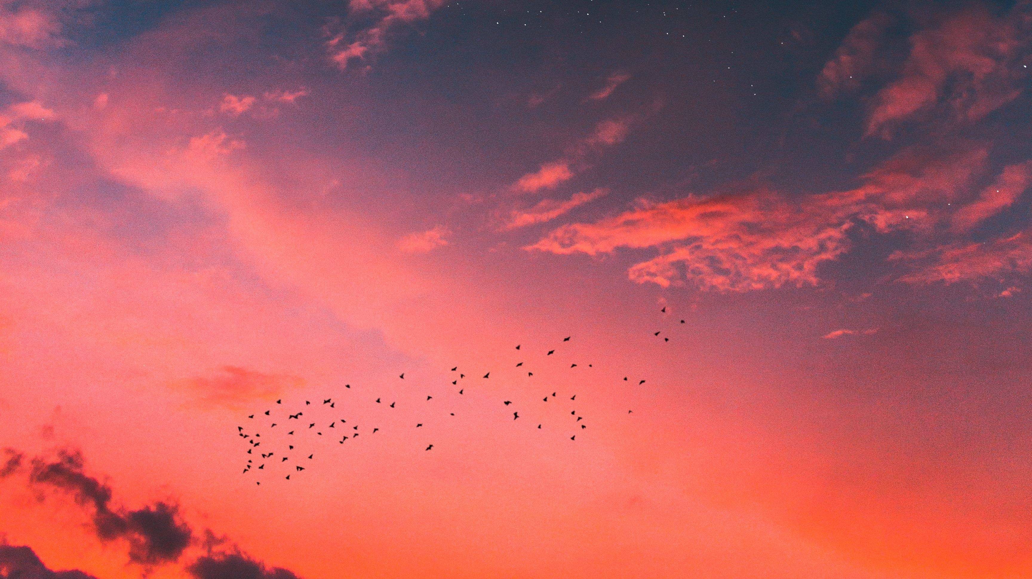 Evening Sunset Wallpapers - Top Free Evening Sunset Backgrounds ...