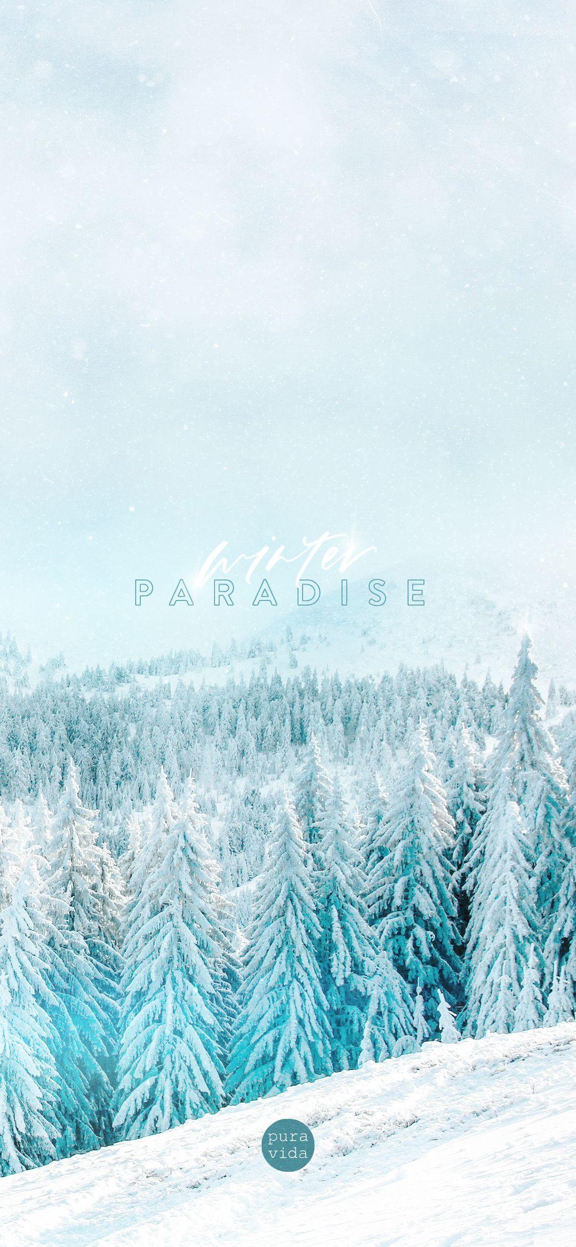 Snow Paradise Wallpapers - Top Free Snow Paradise Backgrounds ...