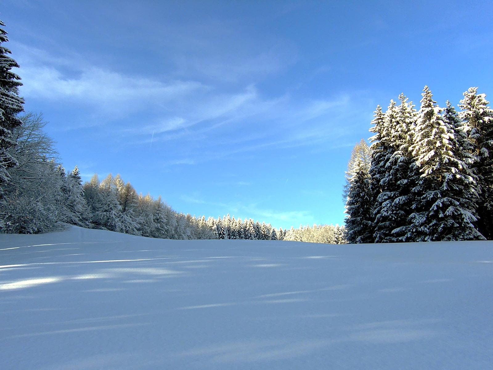 Snow Paradise Wallpapers - Top Free Snow Paradise Backgrounds ...