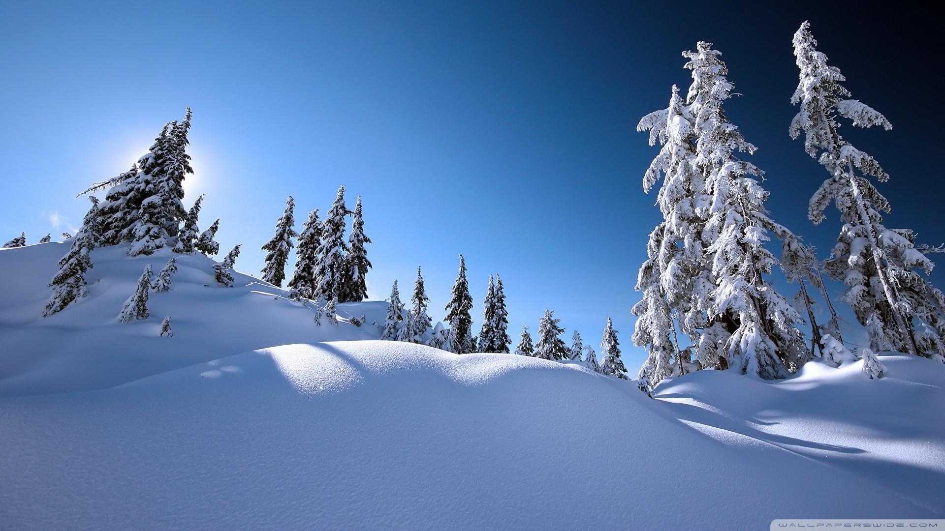 Snow Paradise Wallpapers - Top Free Snow Paradise Backgrounds ...