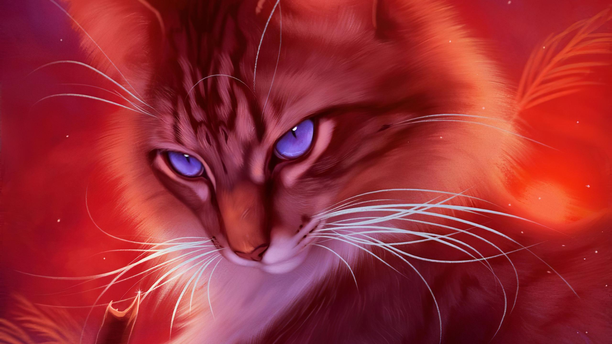 2560X1440 Cat Wallpapers - Top Free 2560X1440 Cat Backgrounds ...