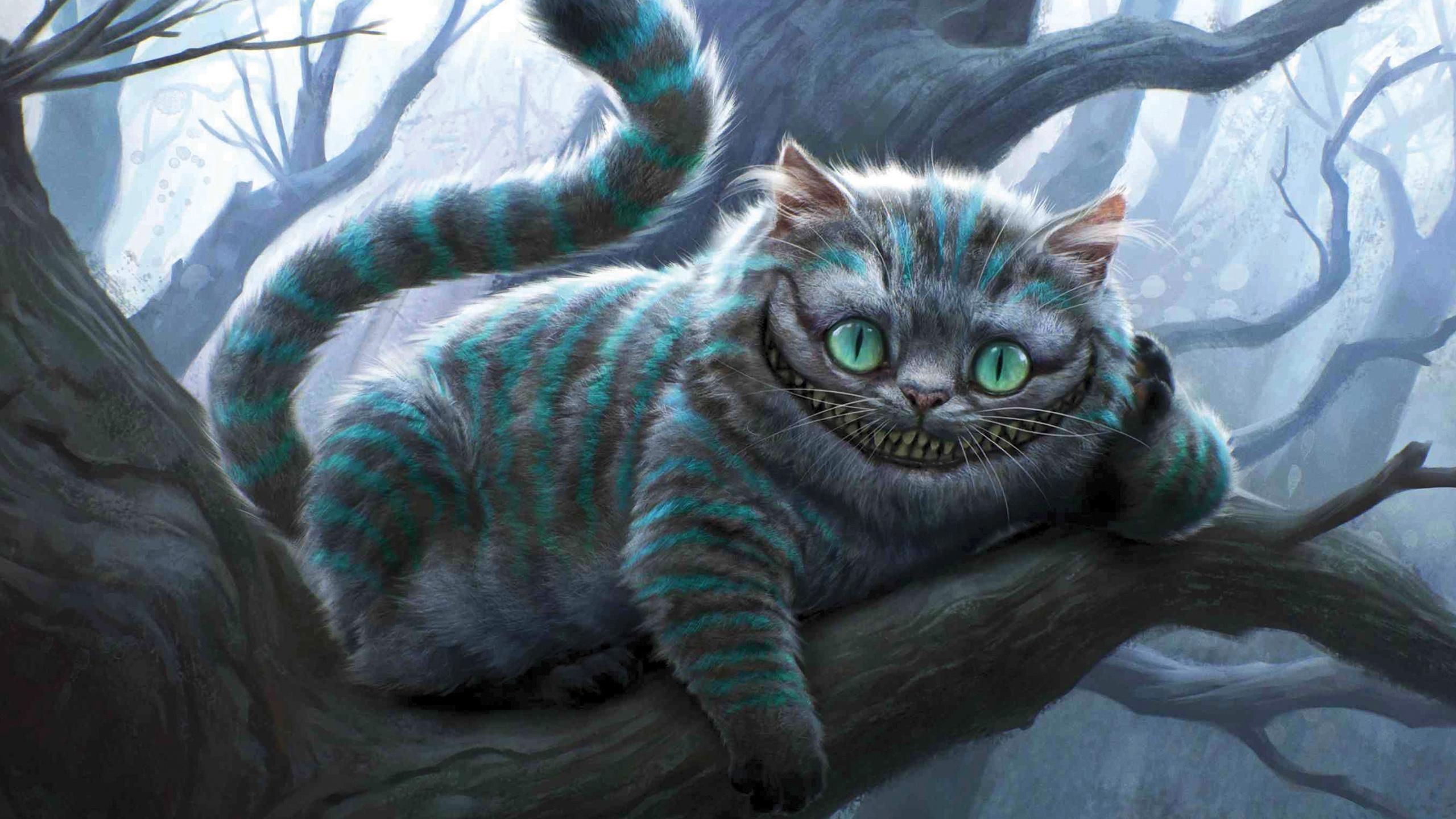 2560X1440 Cat Wallpapers - Top Free 2560X1440 Cat Backgrounds ...