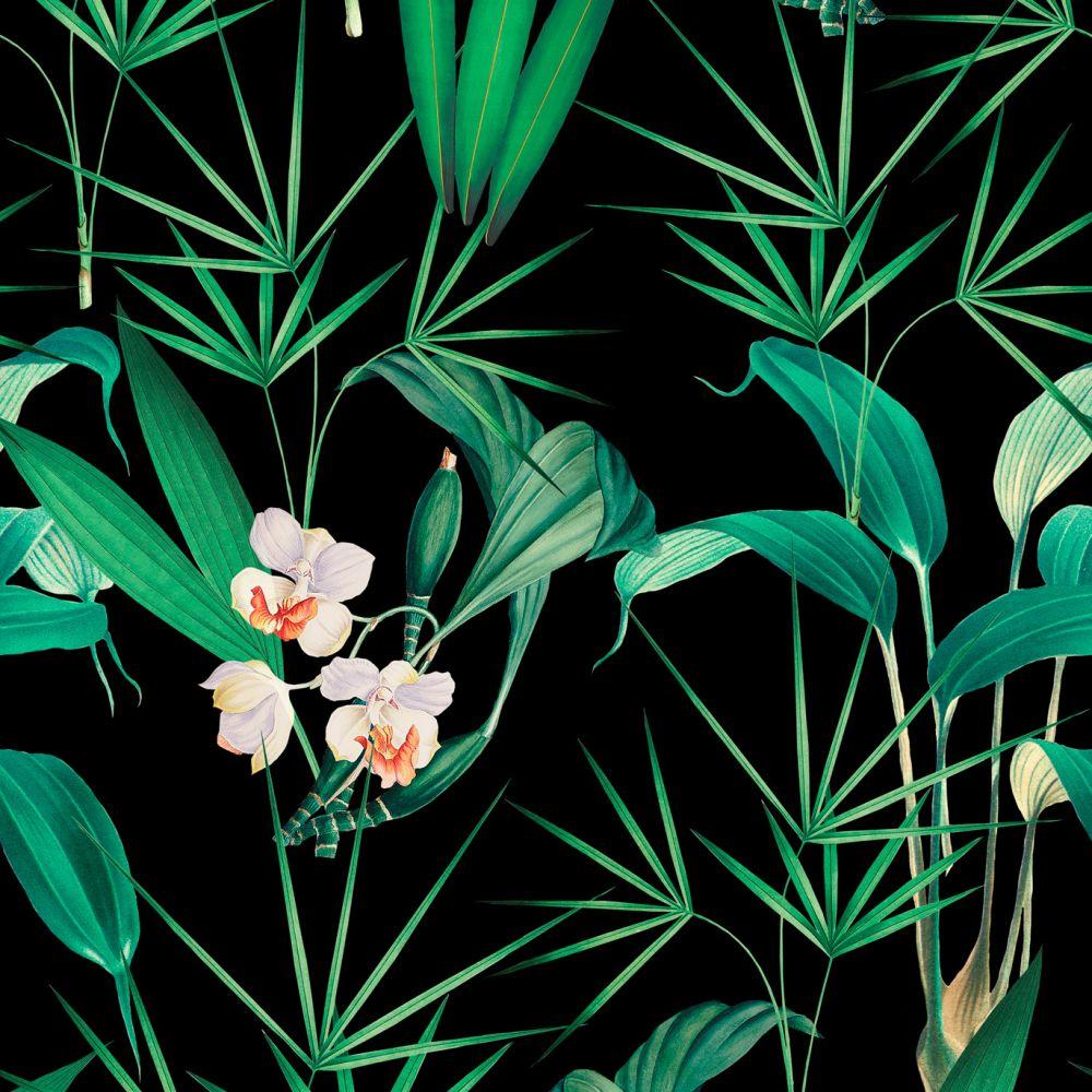 Gap Wallpapers - Top Free Gap Backgrounds - WallpaperAccess