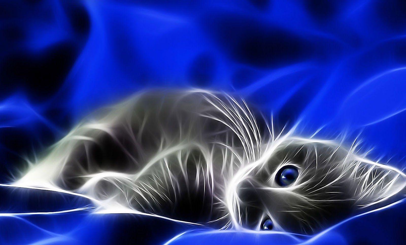Electric Cat Wallpapers - Top Free Electric Cat Backgrounds ...