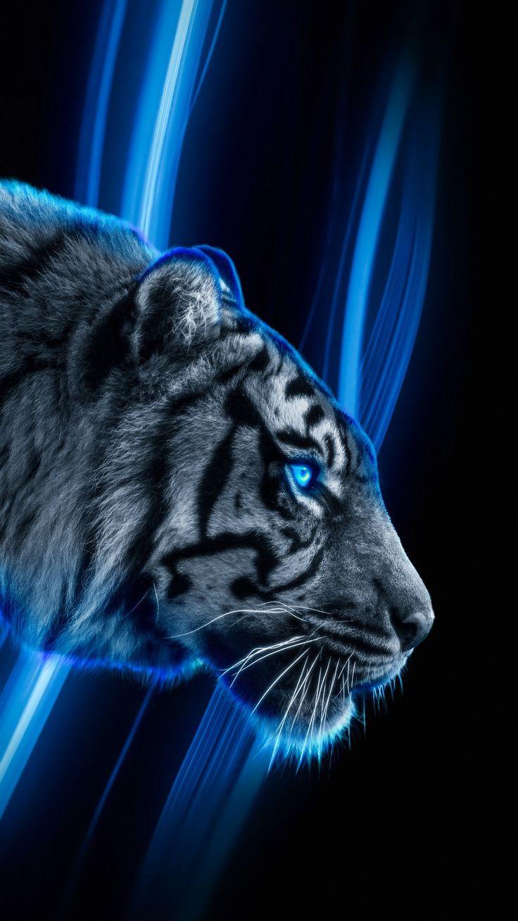Electric Cat Wallpapers - Top Free Electric Cat Backgrounds ...
