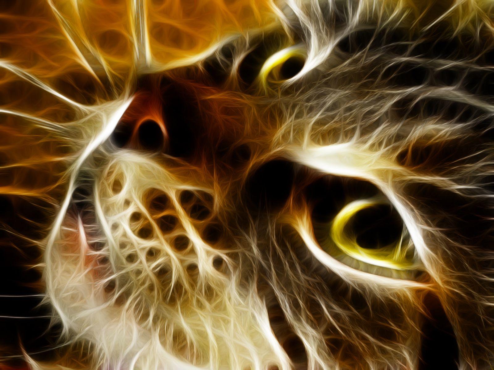 Electric Cat Wallpapers - Top Free Electric Cat Backgrounds ...