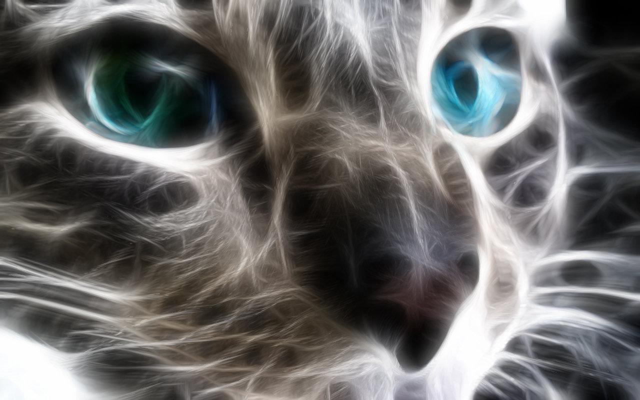 Electric Cat Wallpapers - Top Free Electric Cat Backgrounds ...