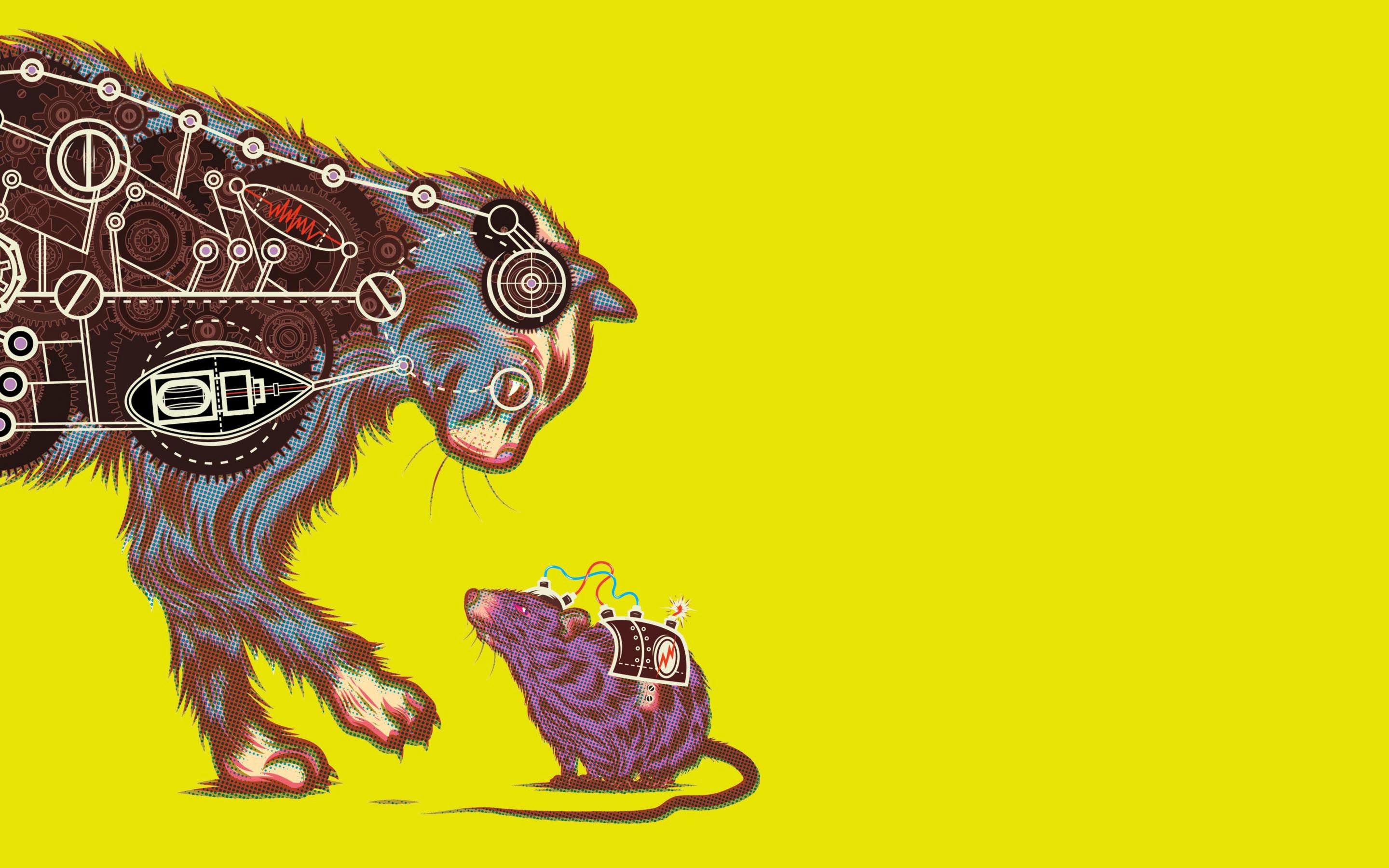 Electric Cat Wallpapers - Top Free Electric Cat Backgrounds ...