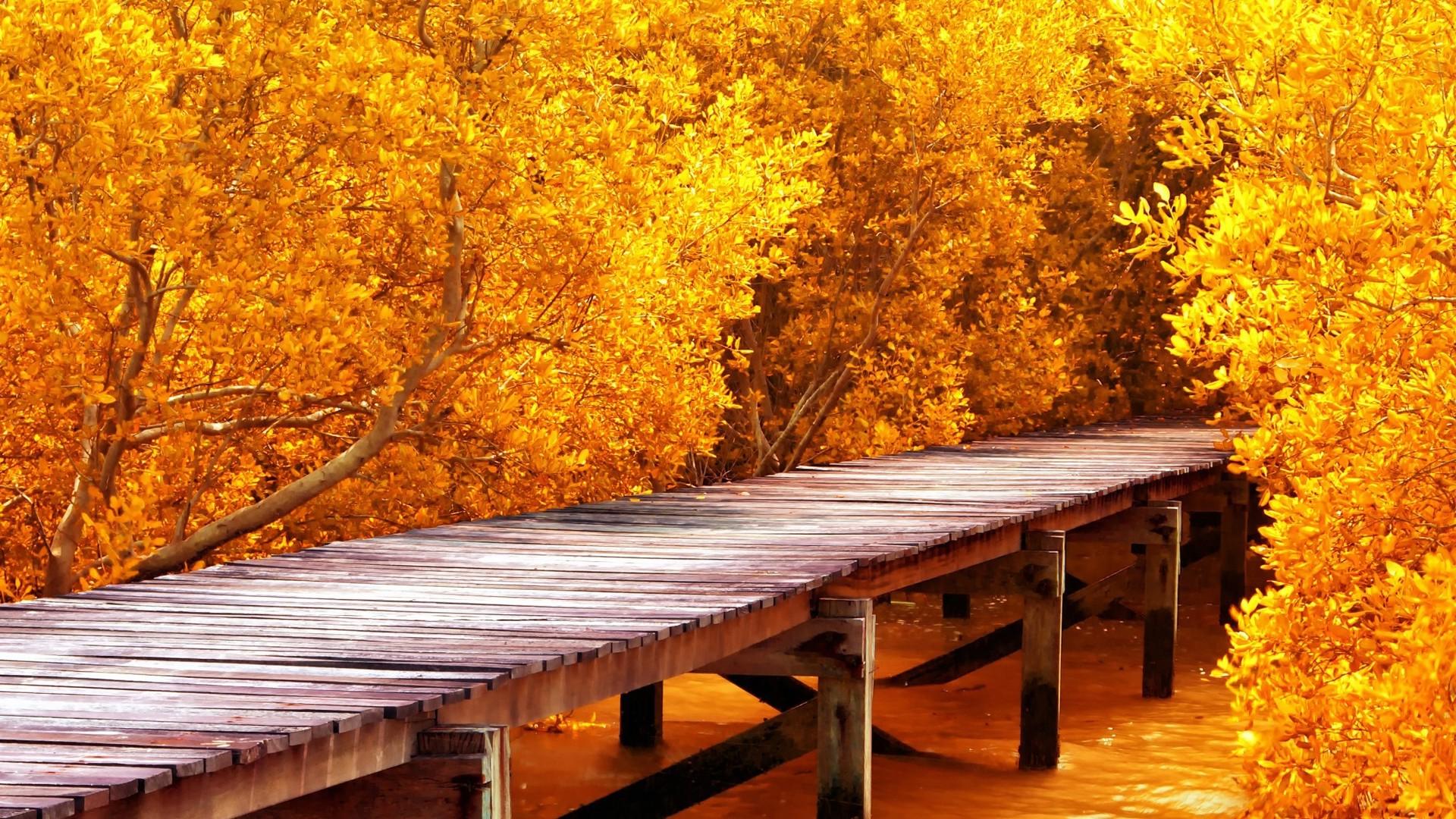 Yellow Leaves Wallpapers - Top Free Yellow Leaves Backgrounds ...