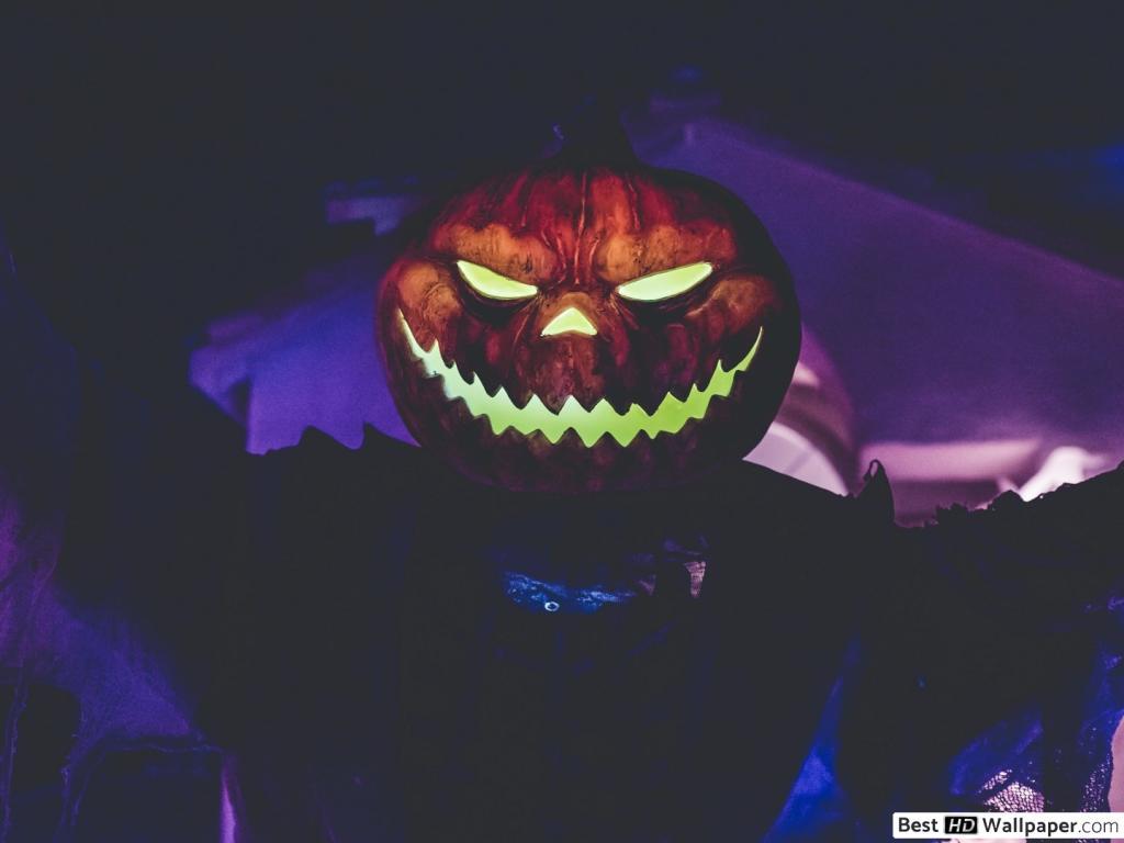 Evil Pumpkin Wallpapers - Top Free Evil Pumpkin Backgrounds ...