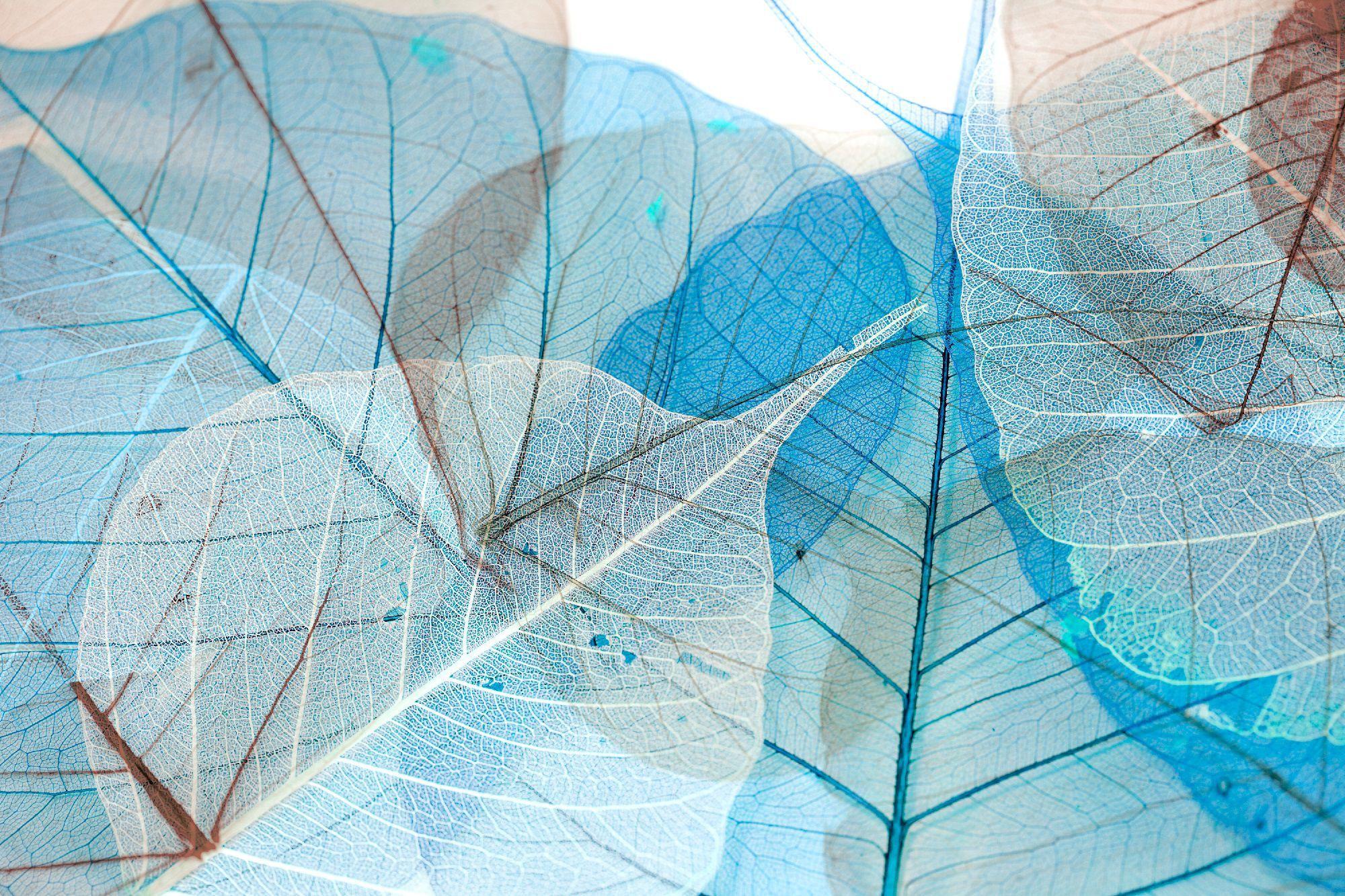 Nature Pattern Wallpapers - Top Free Nature Pattern Backgrounds ...