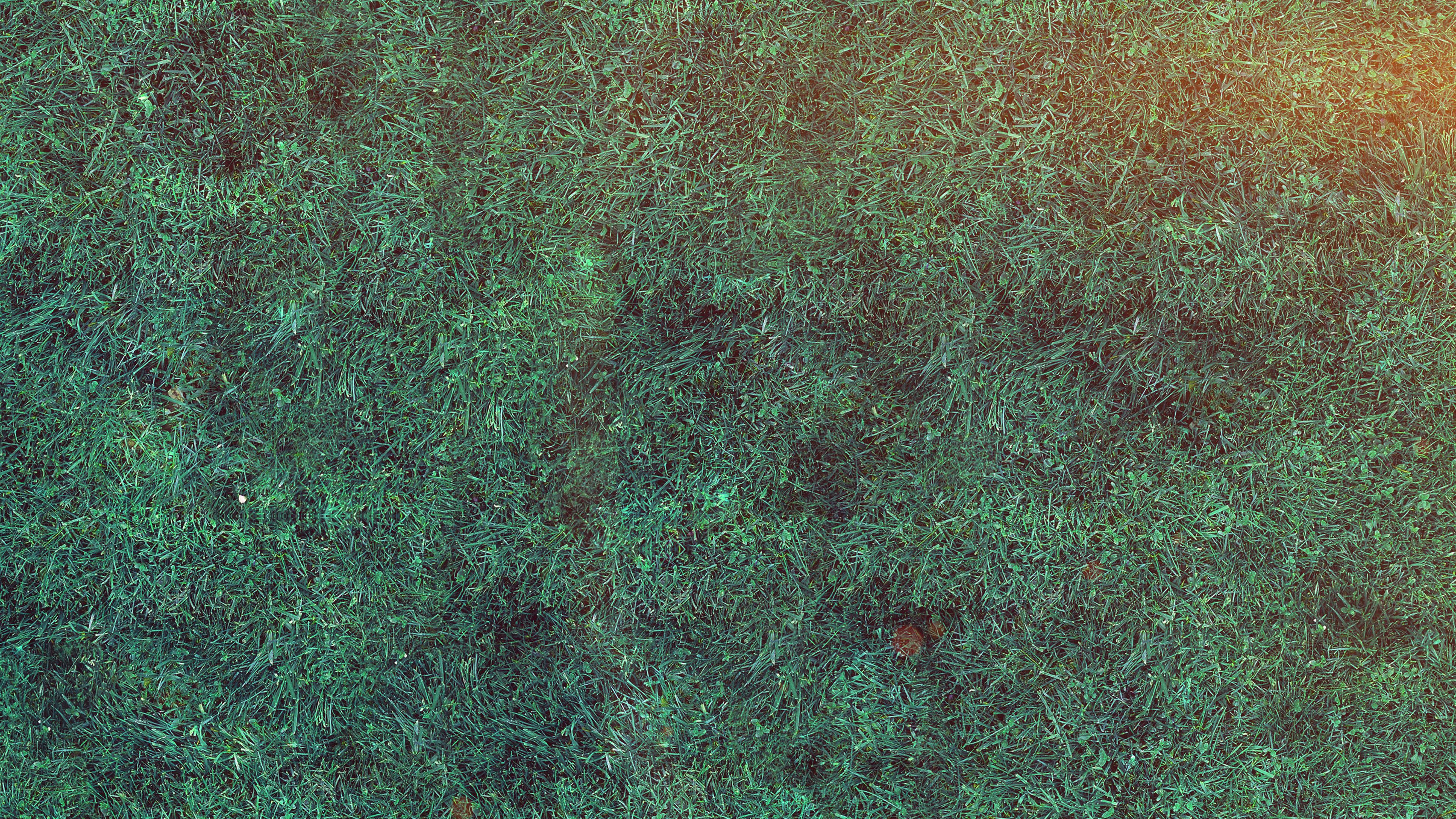 Nature Pattern Wallpapers - Top Free Nature Pattern Backgrounds ...