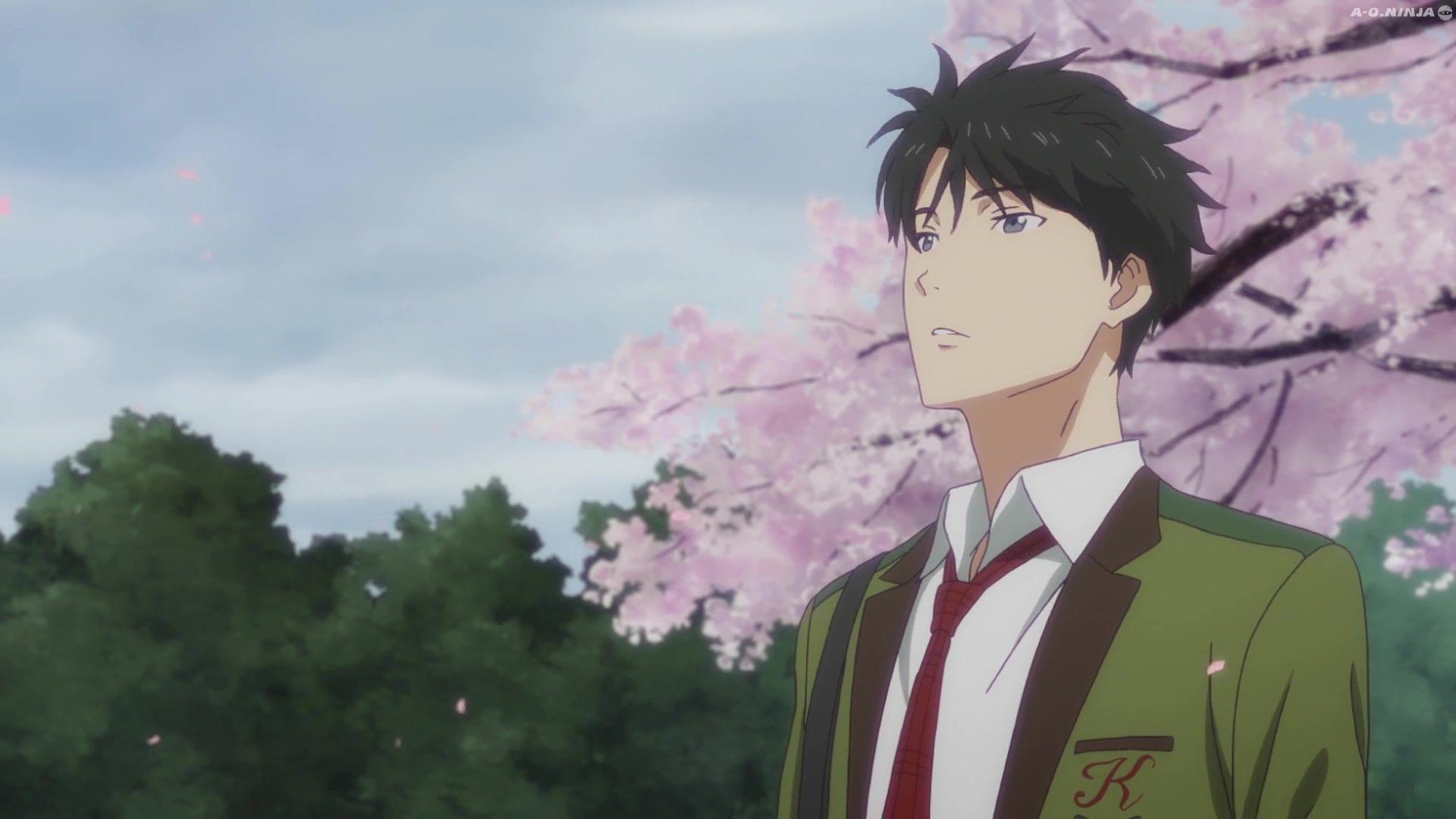 Tada Never Falls In Love Wallpapers - Top Free Tada Never Falls In Love ...