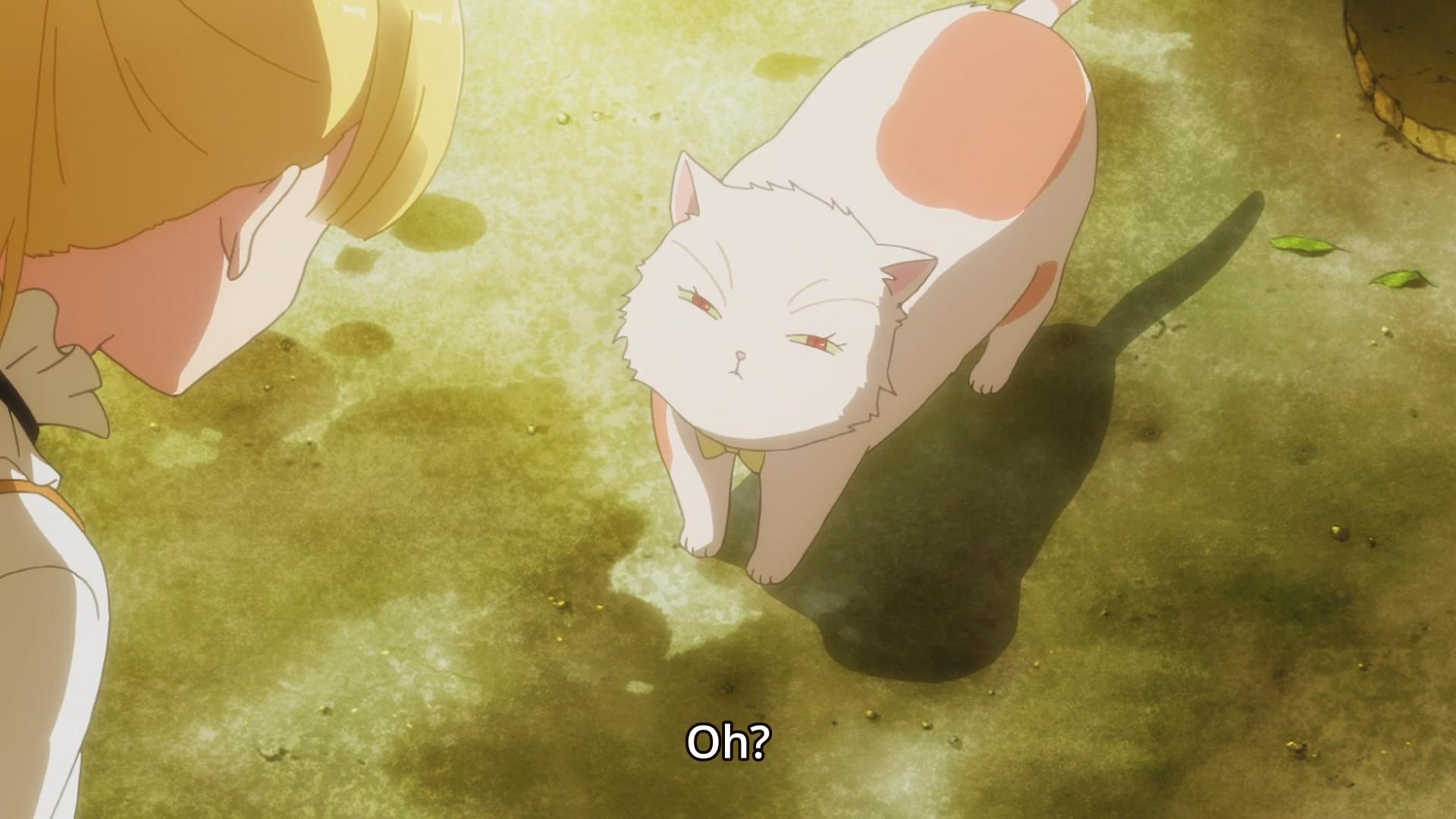 Tada Never Falls In Love Wallpapers - Top Free Tada Never Falls In Love ...