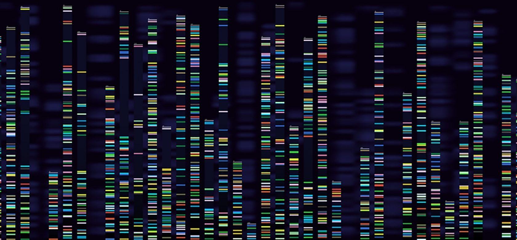 Informatics Wallpapers - Top Free Informatics Backgrounds - WallpaperAccess