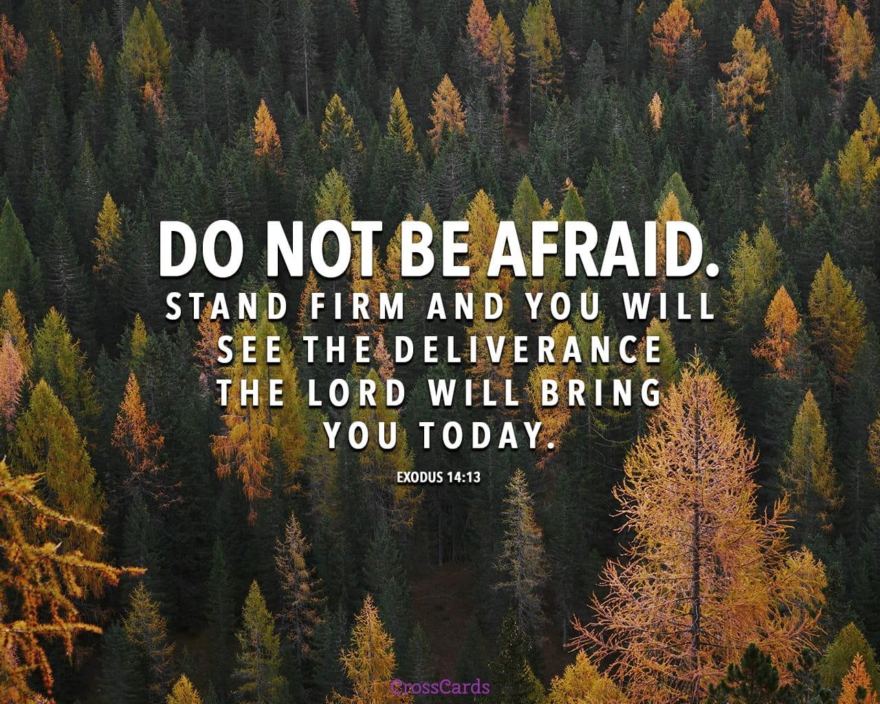 Do Not Be Afraid Wallpapers - Top Free Do Not Be Afraid Backgrounds ...