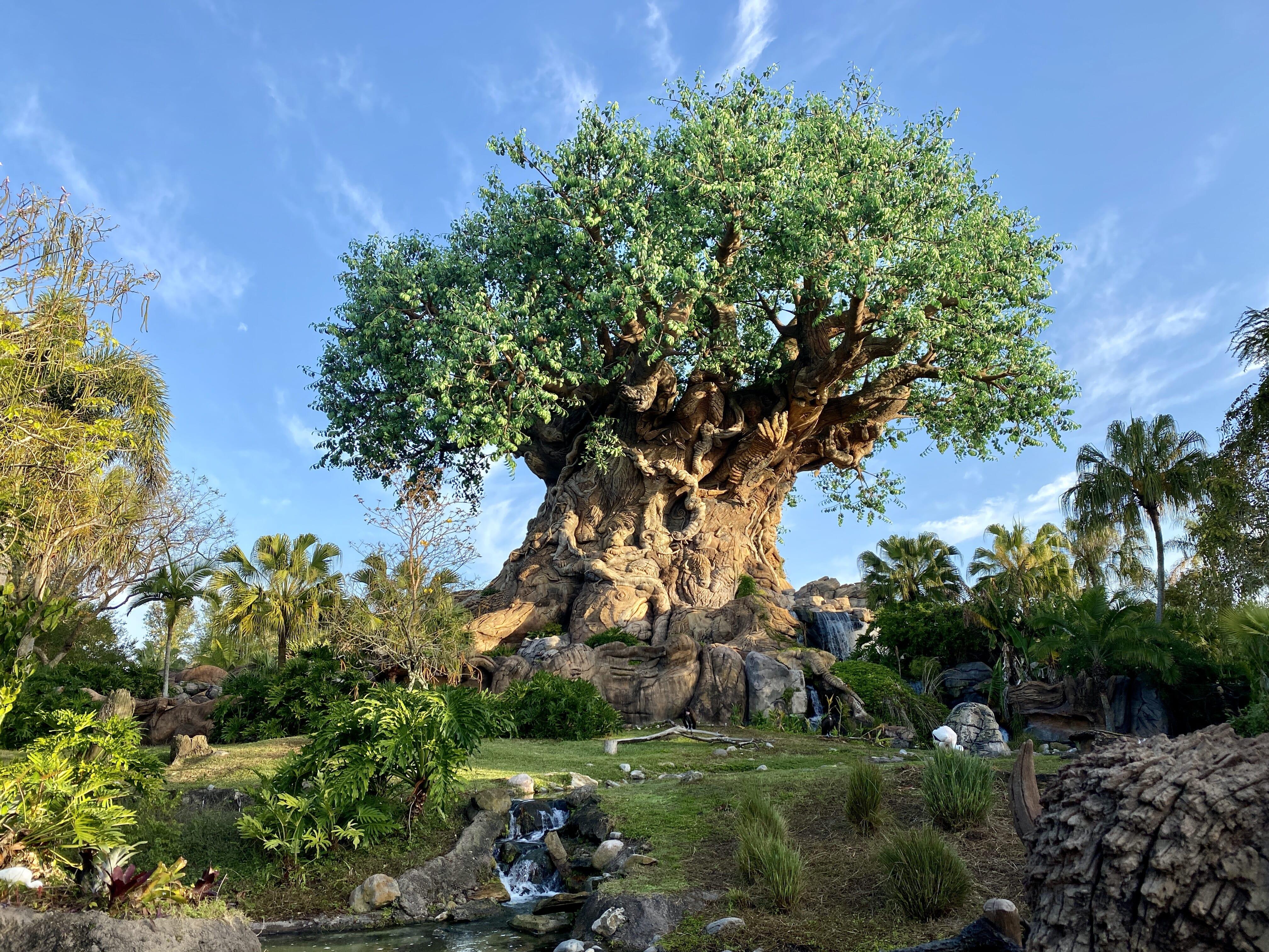 Disney Animal Kingdom Wallpapers - Top Free Disney Animal Kingdom ...