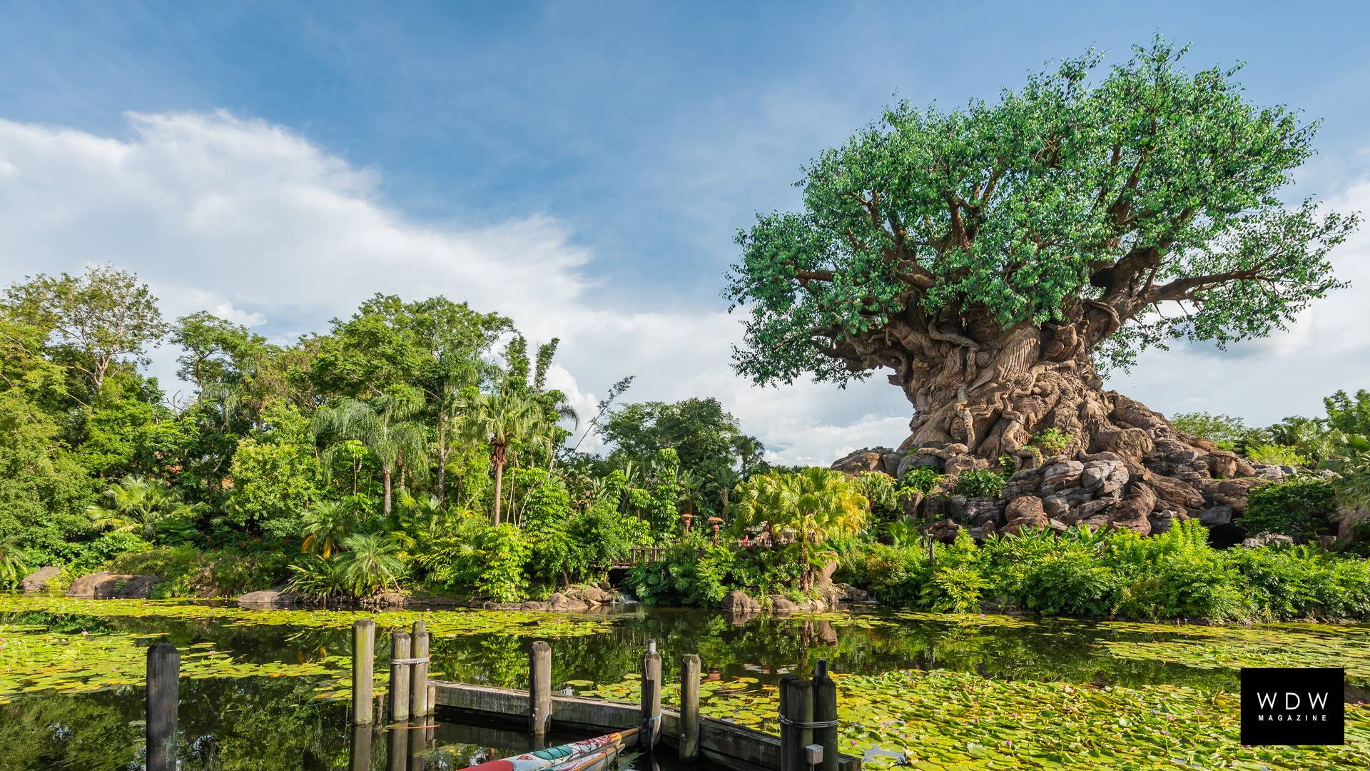 Disney Animal Kingdom Wallpapers - Top Free Disney Animal Kingdom ...