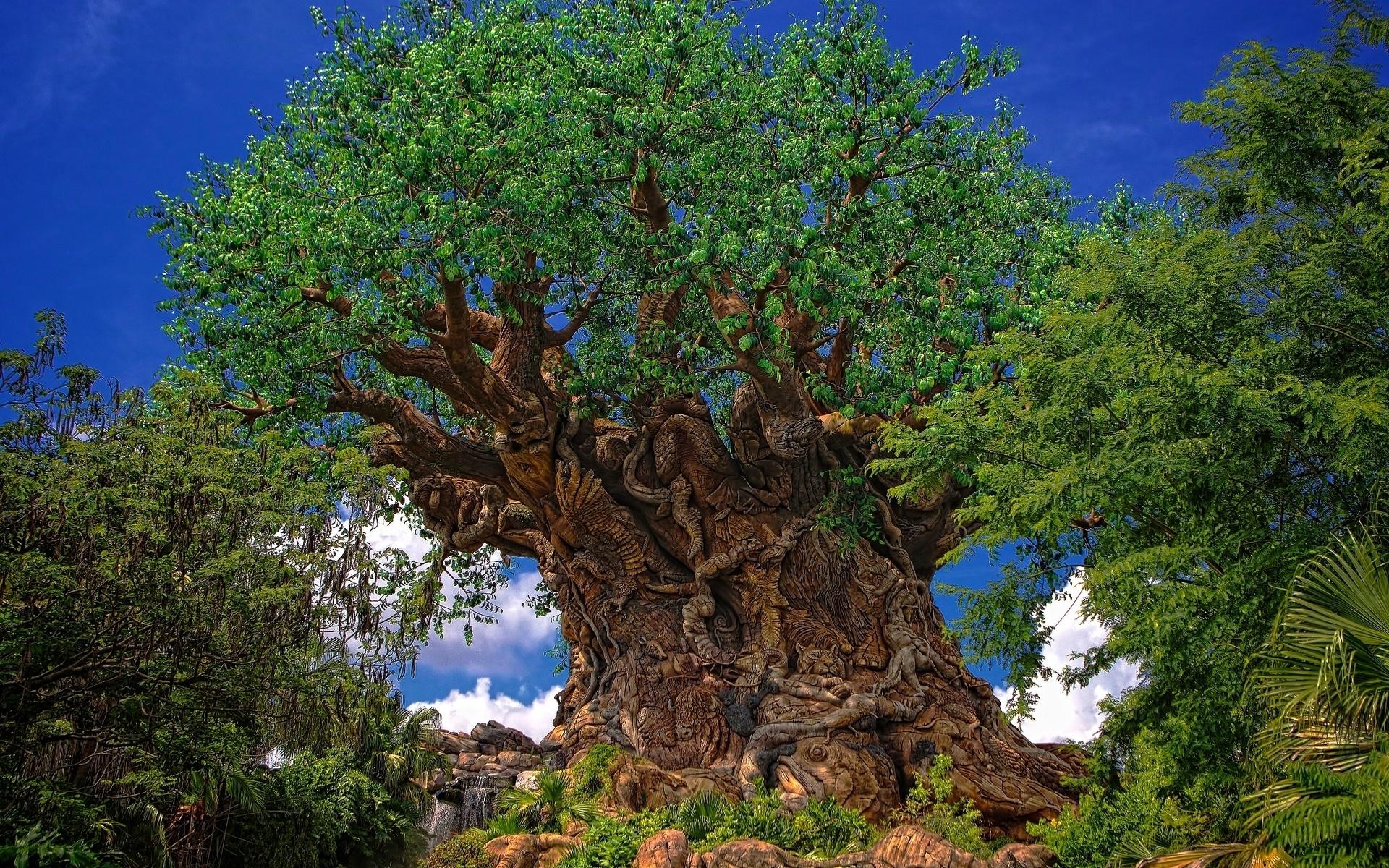 Disney Animal Kingdom Wallpapers - Top Free Disney Animal Kingdom ...