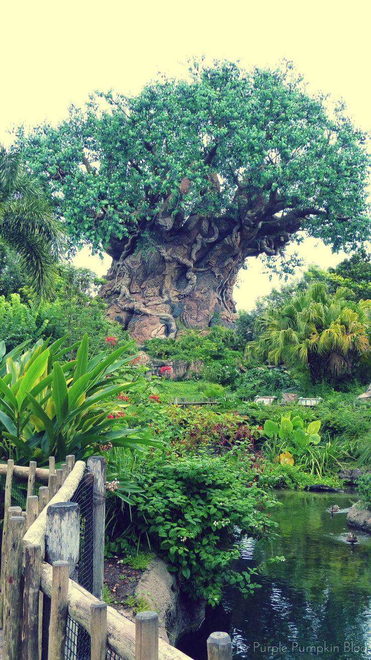 Disney Animal Kingdom Wallpapers - Top Free Disney Animal Kingdom ...