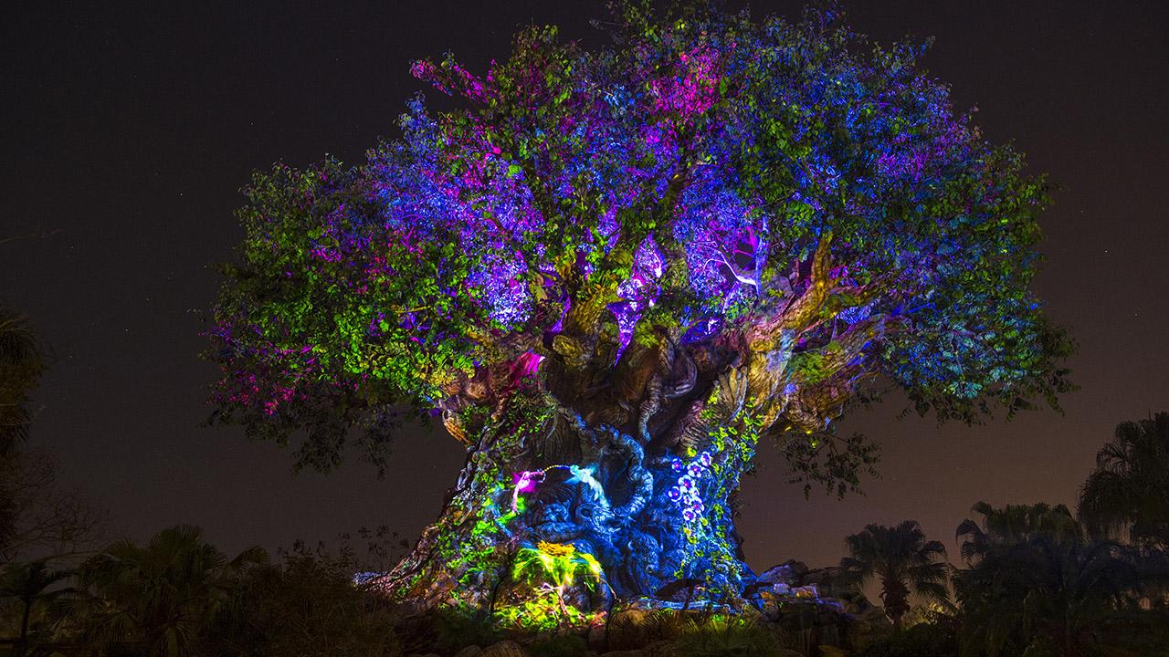 Disney Animal Kingdom Wallpapers - Top Free Disney Animal Kingdom ...