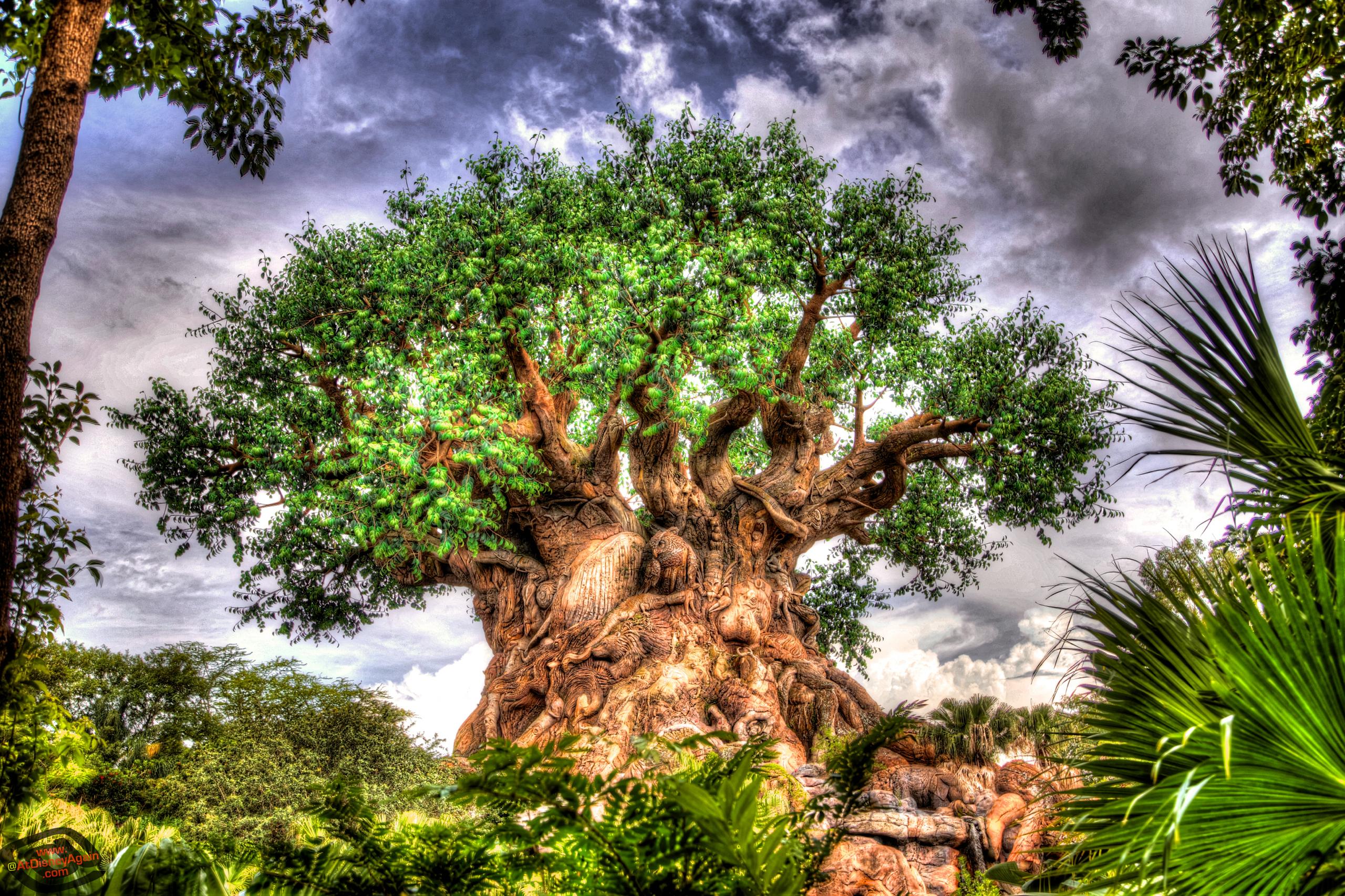 Disney Animal Kingdom Wallpapers - Top Free Disney Animal Kingdom ...