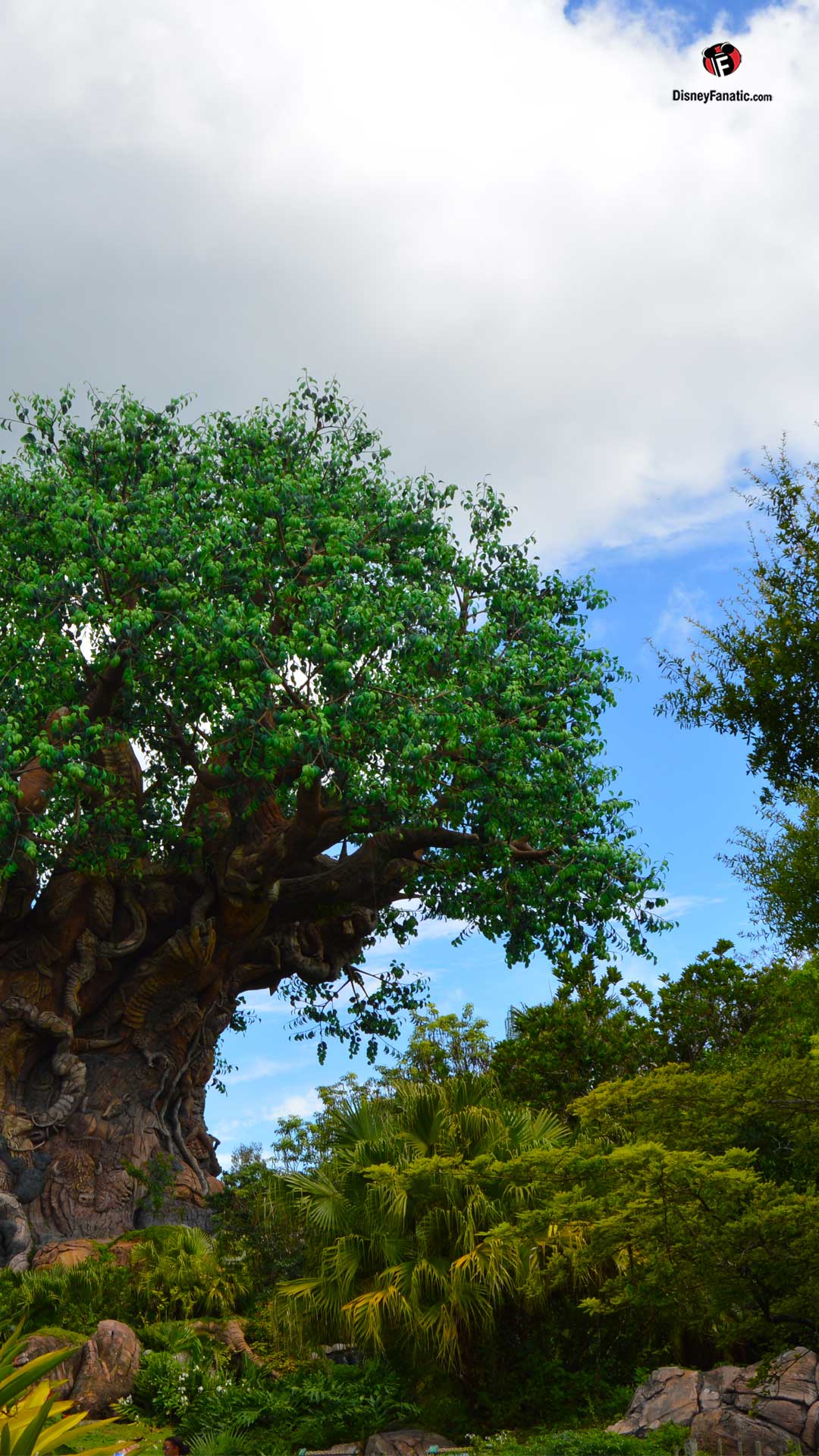Disney Animal Kingdom Wallpapers - Top Free Disney Animal Kingdom ...