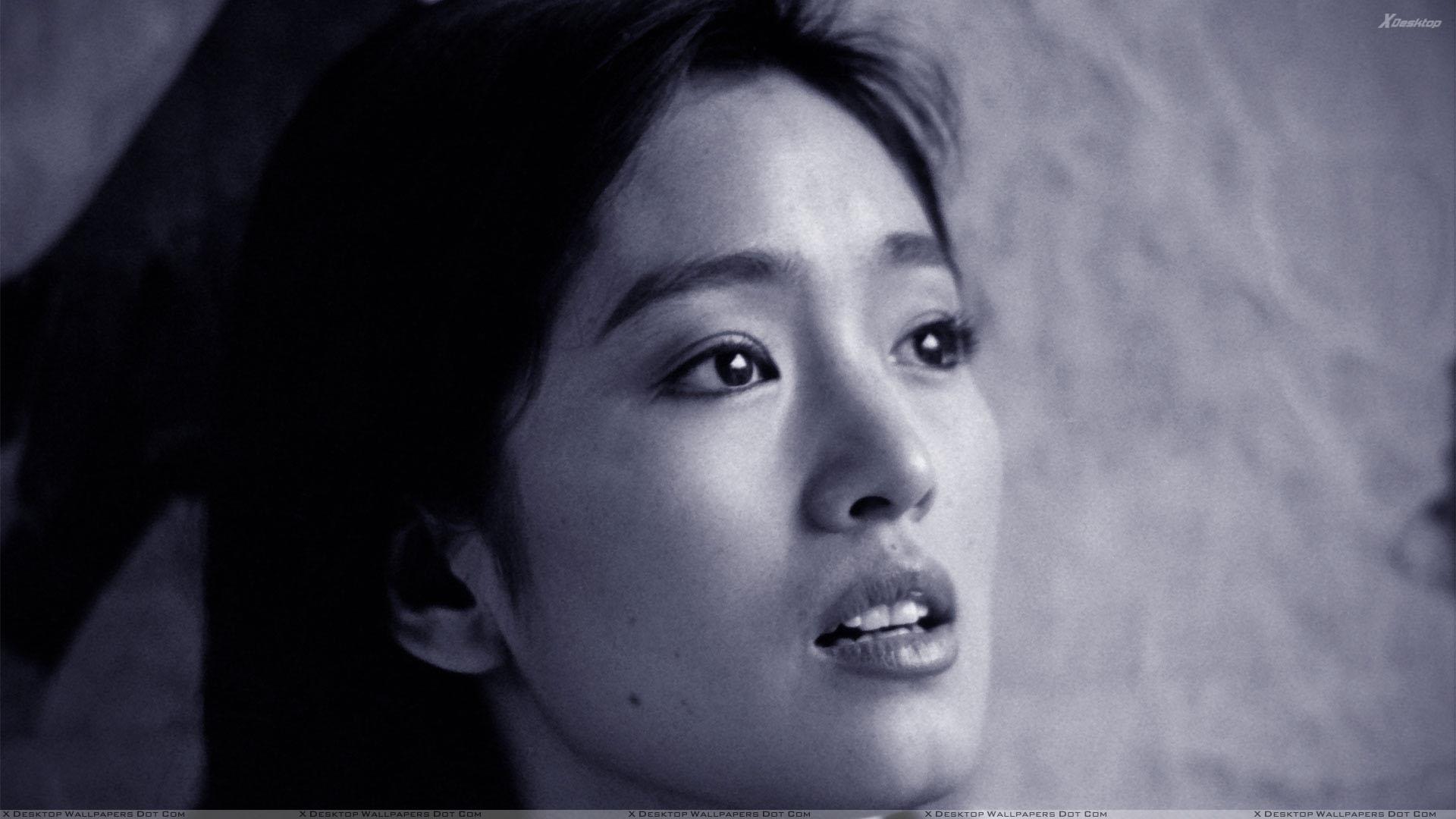 Gong Li Wallpapers - Top Free Gong Li Backgrounds - WallpaperAccess