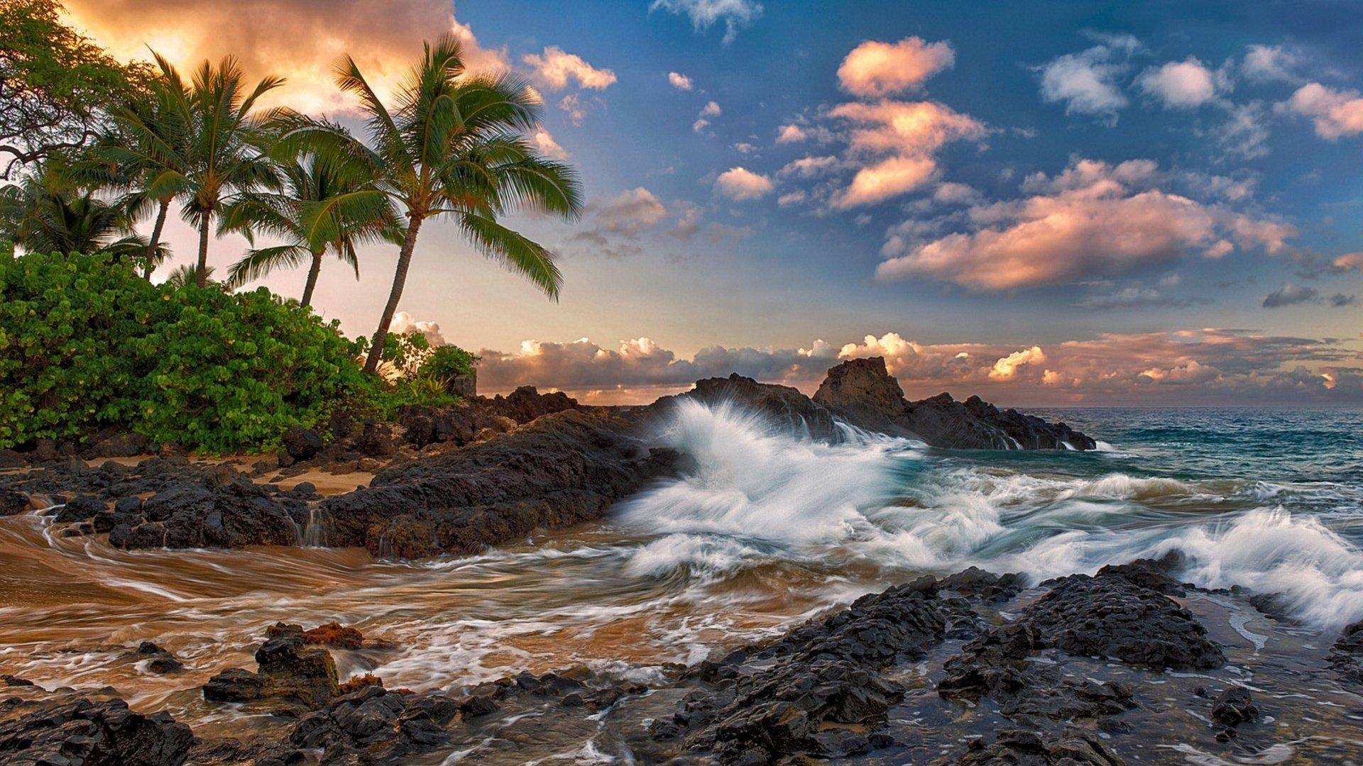 Hawaii Waves Wallpapers - Top Free Hawaii Waves Backgrounds ...