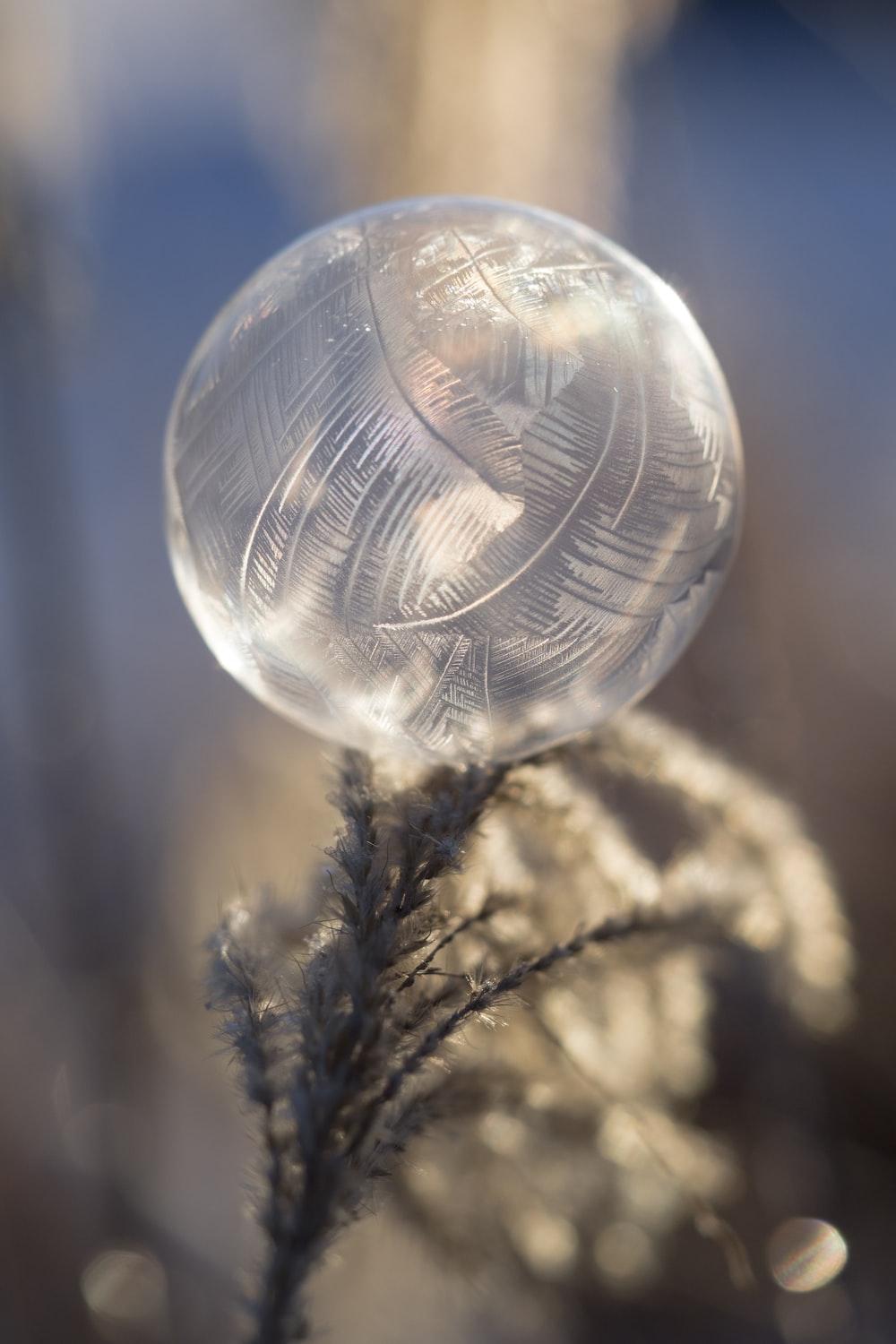 Frozen Bubbles HD Wallpapers - Top Free Frozen Bubbles HD Backgrounds ...