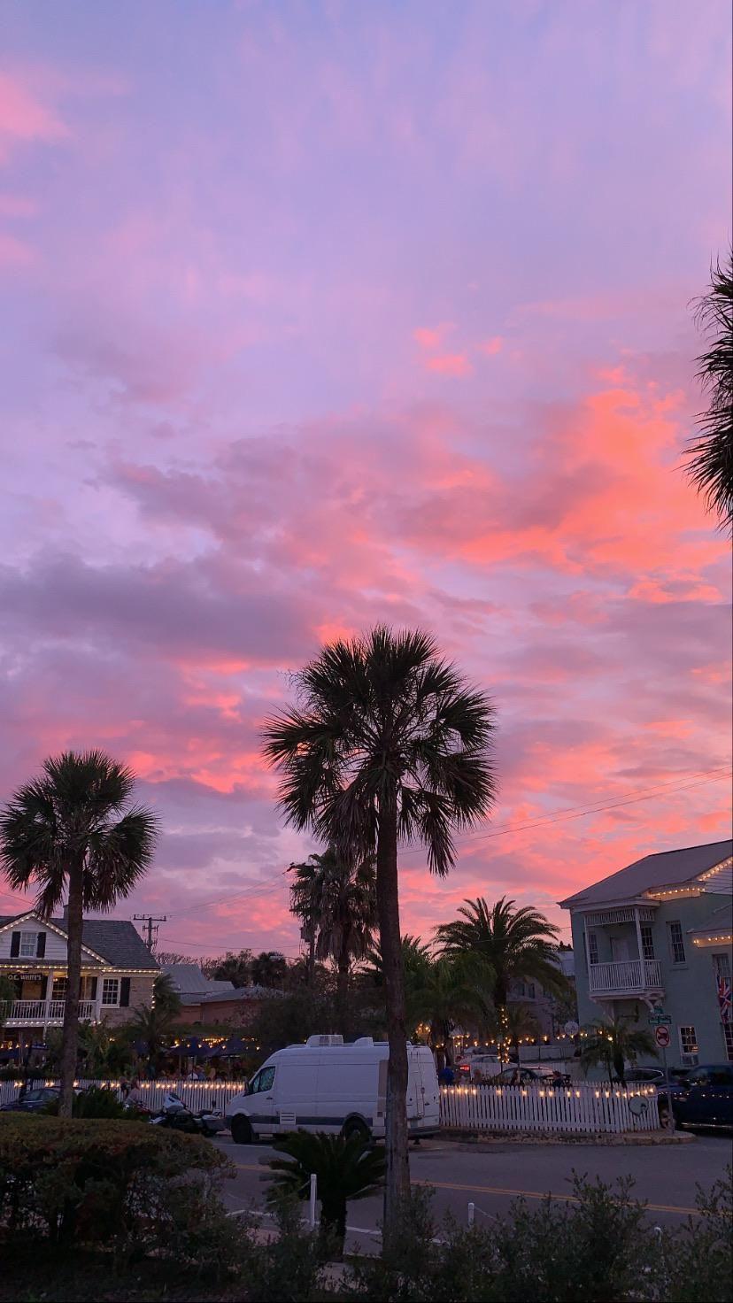 Florida Scenery iPhone Wallpapers - Top Free Florida Scenery iPhone ...