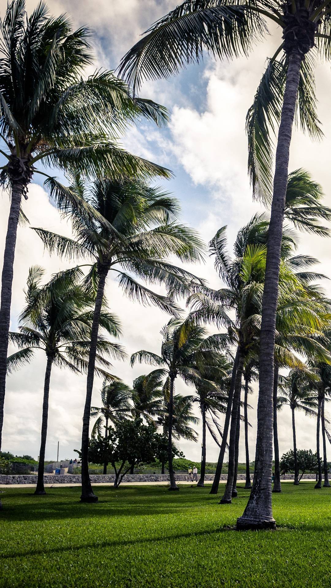 Florida Scenery iPhone Wallpapers - Top Free Florida Scenery iPhone ...