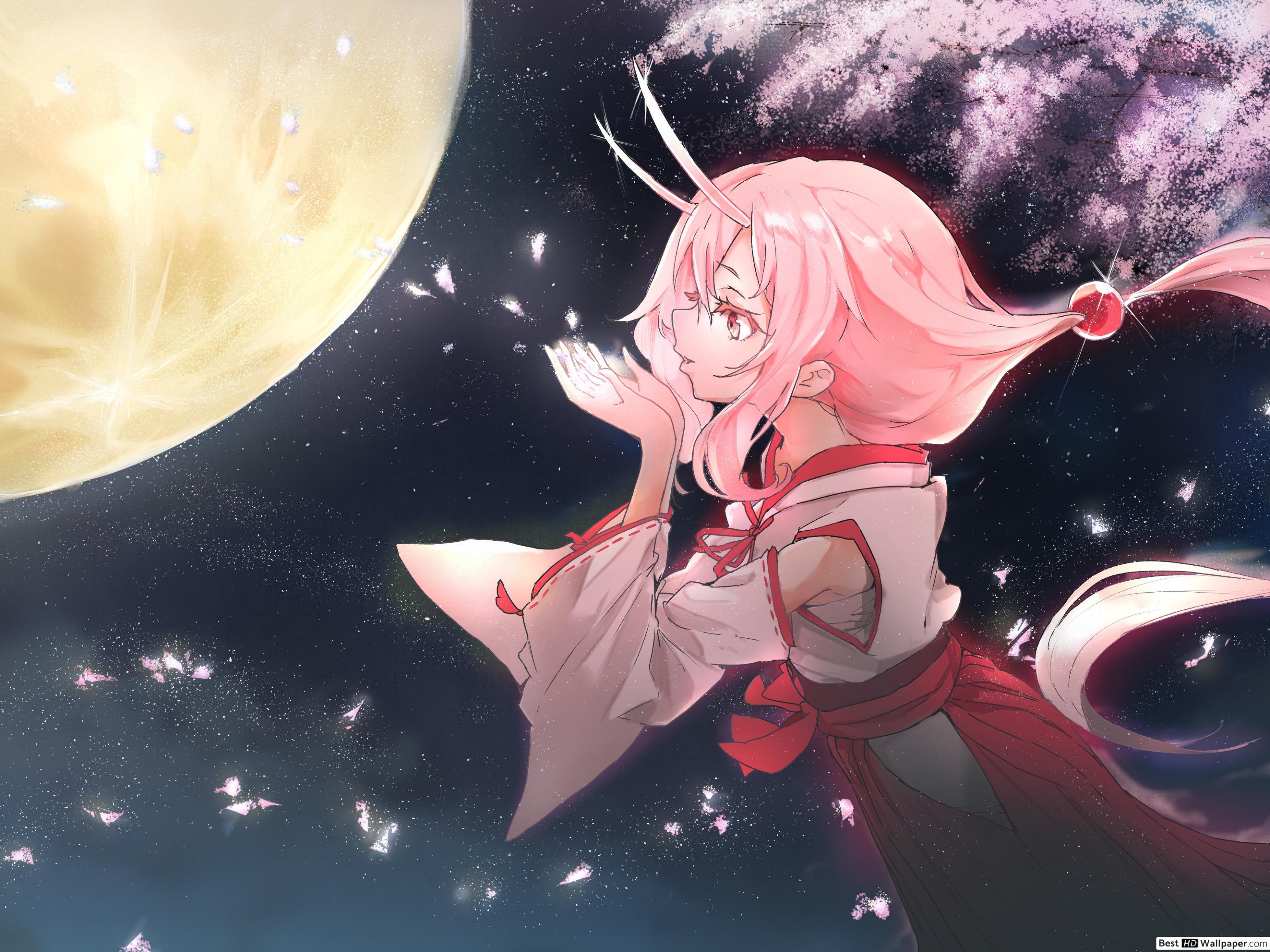 Shuna Wallpapers - Top Free Shuna Backgrounds - WallpaperAccess