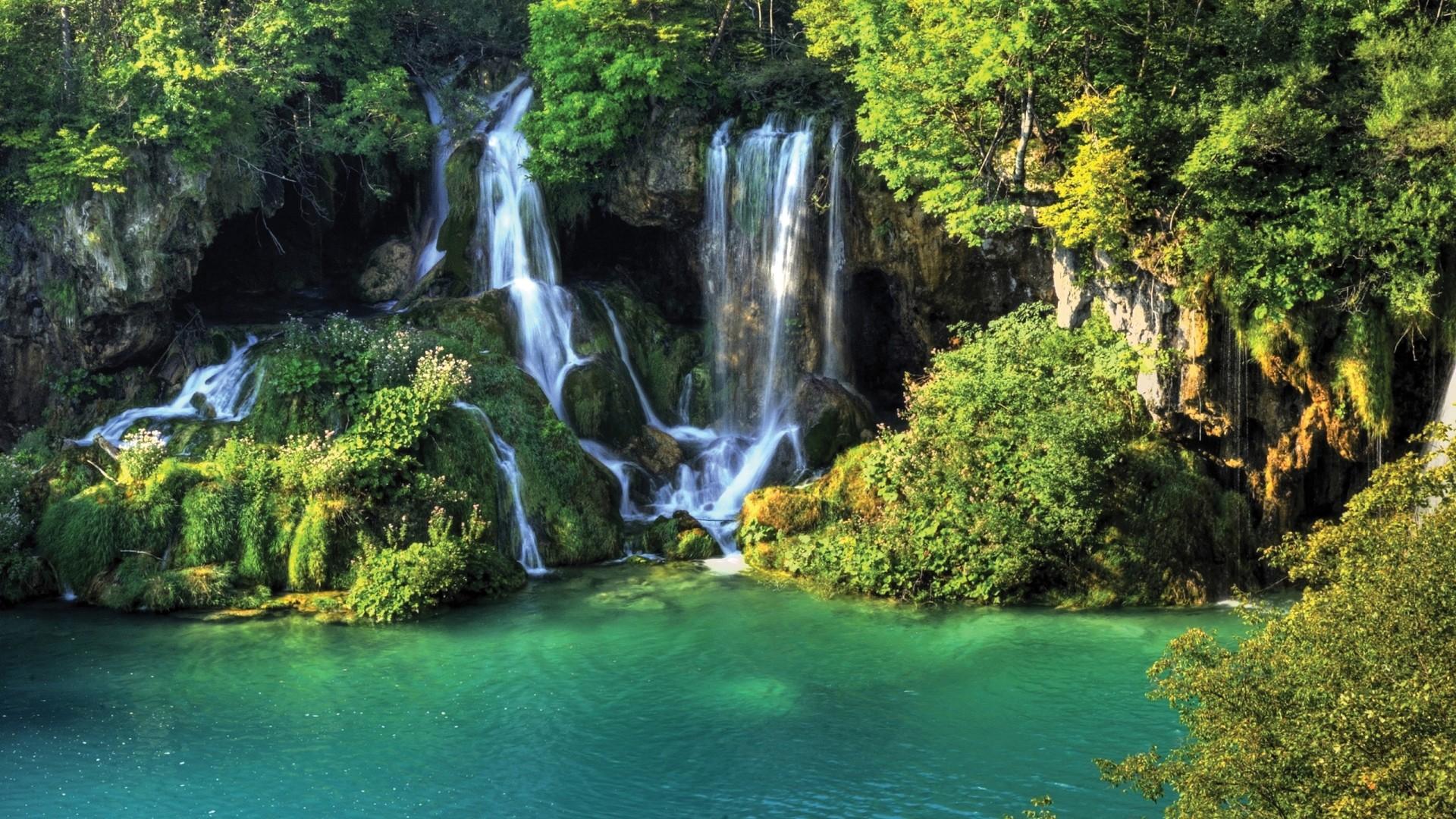 Jungle River Wallpapers - Top Free Jungle River Backgrounds ...